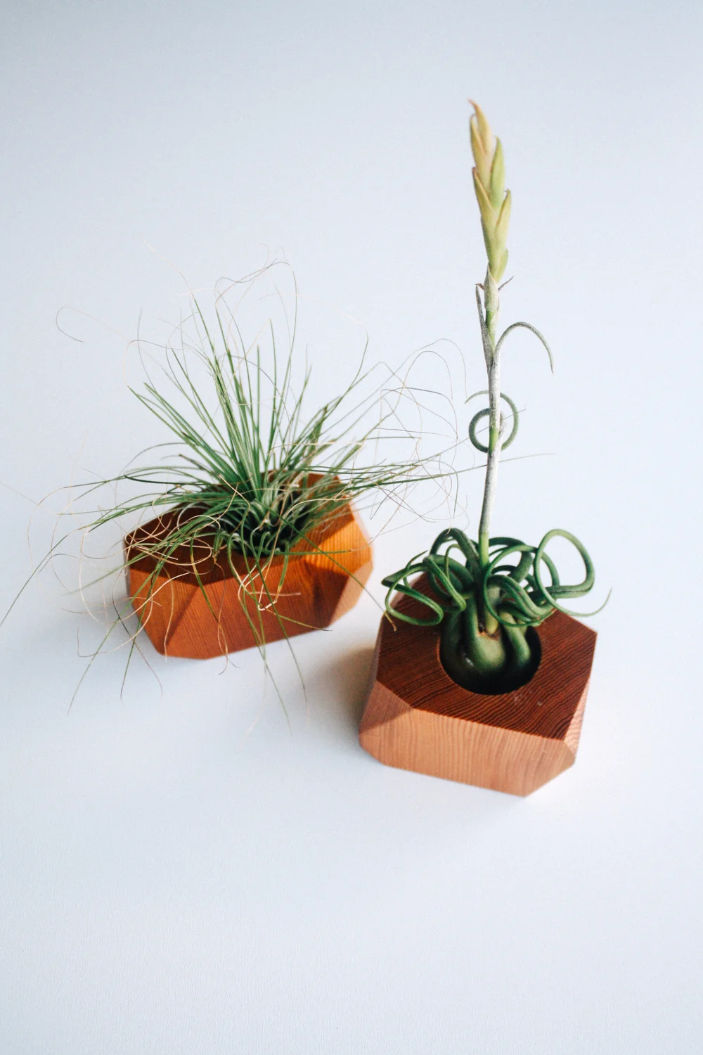 the geometric airplanter