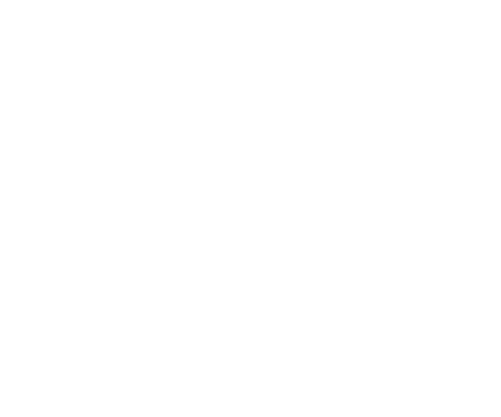 Desktop Beta — VERO — True Social