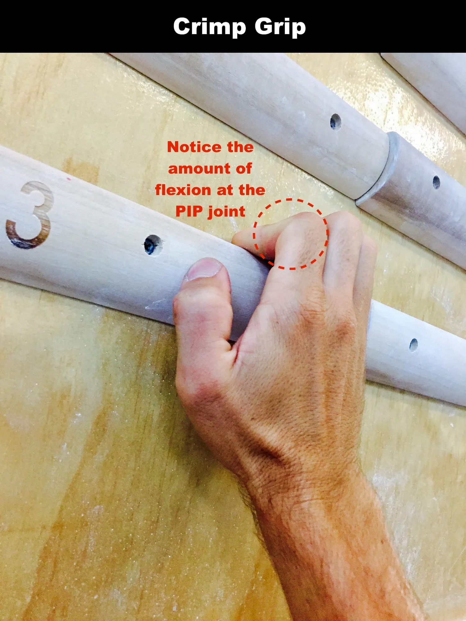 Pulley Injuries Explained (Part 1) — Grassroots Physical Therapy