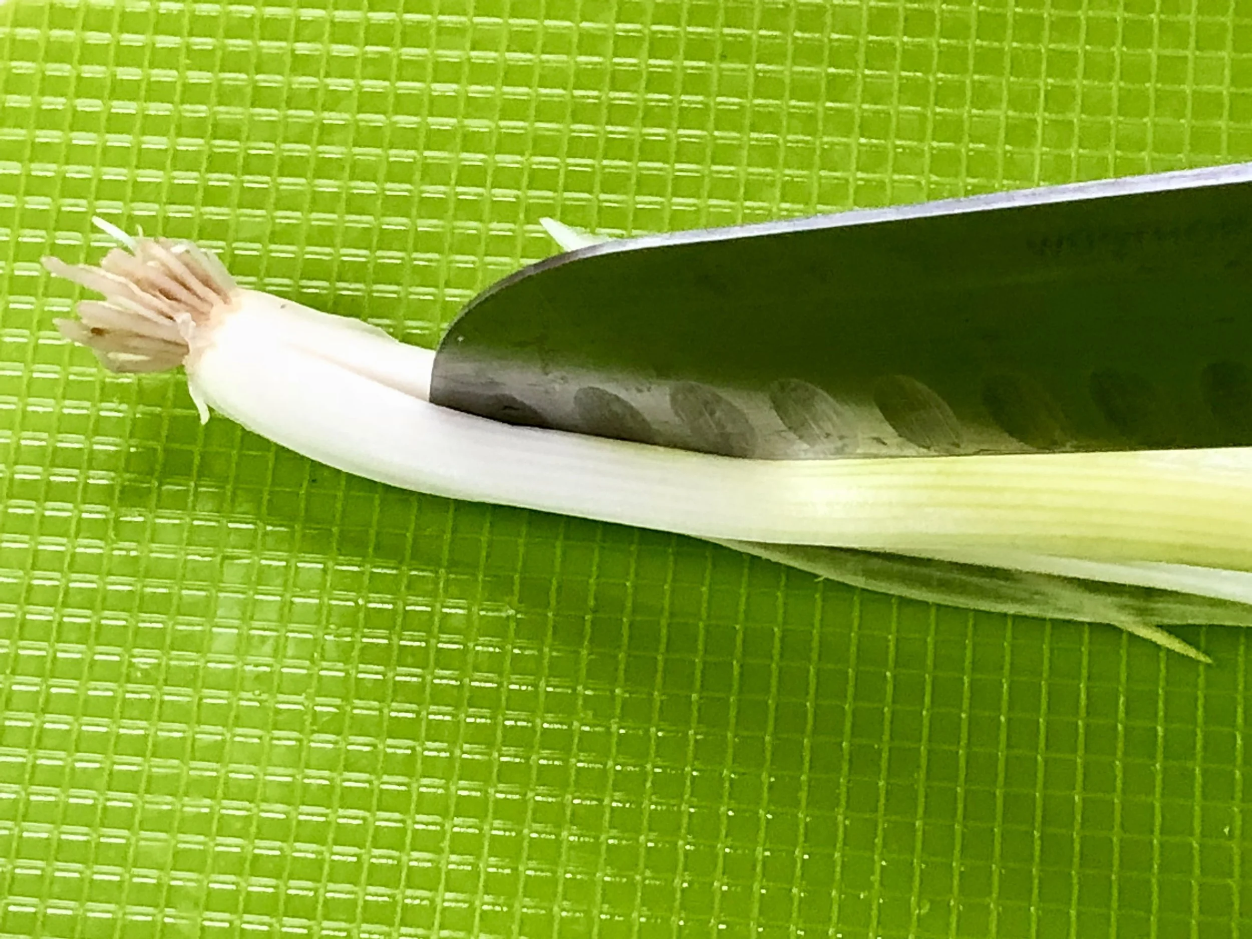 How to Shred a Scallion — Ronnie Fein