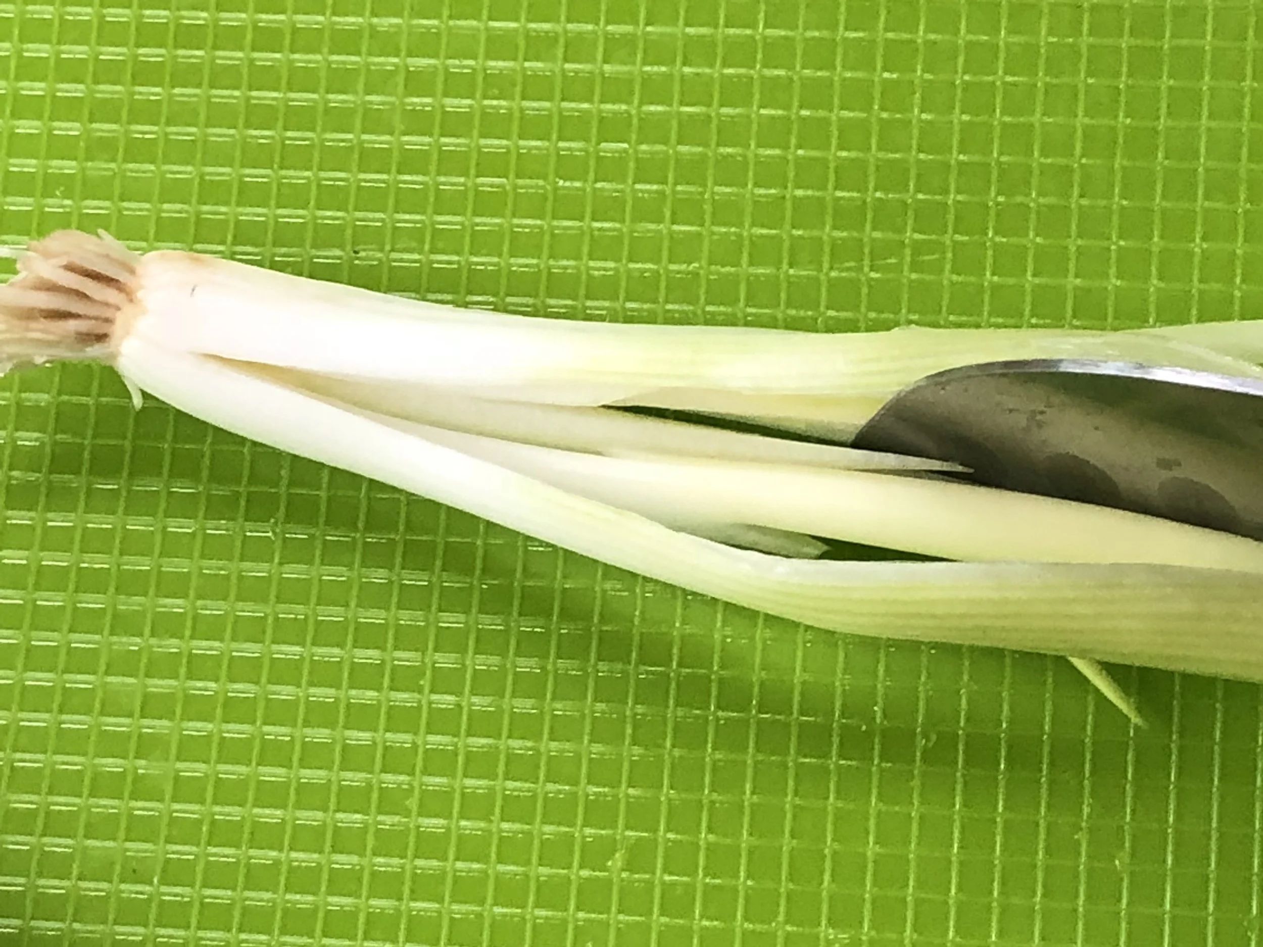 How to Shred a Scallion — Ronnie Fein