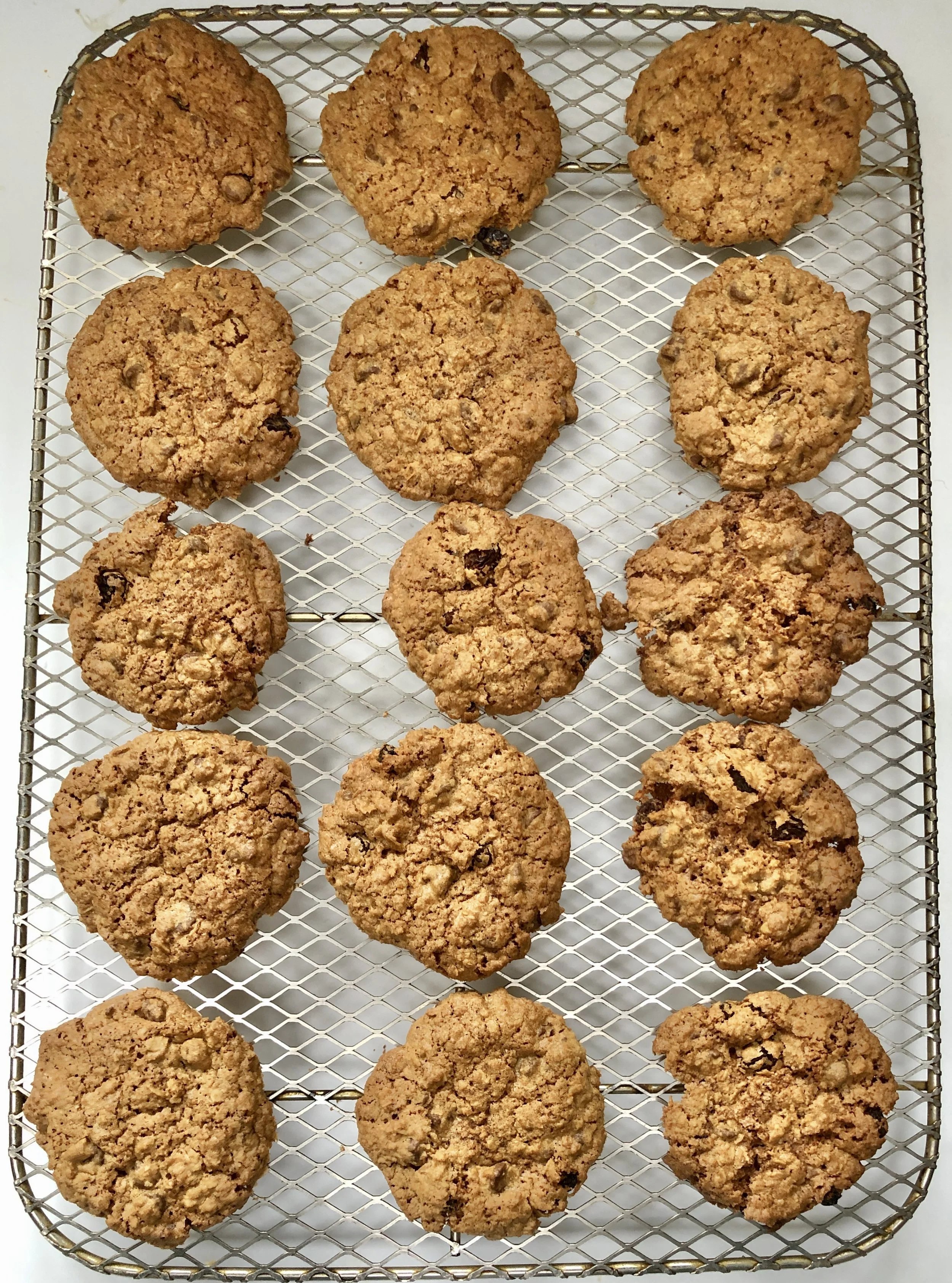 Kosher Recipes — Ronnie Fein