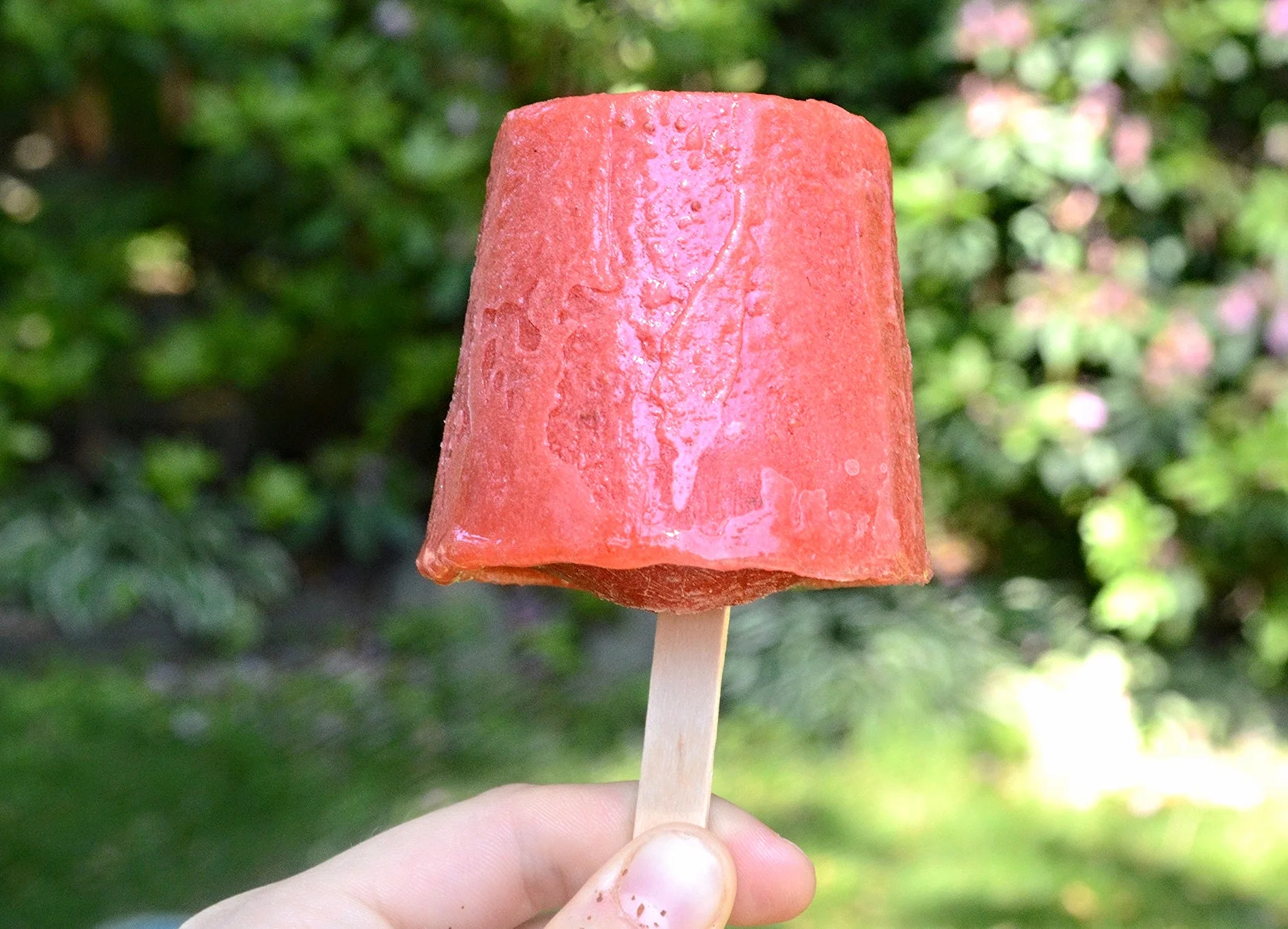 Paletas' Strawberry Popsicles-Famous Fridays — Unwritten Recipes