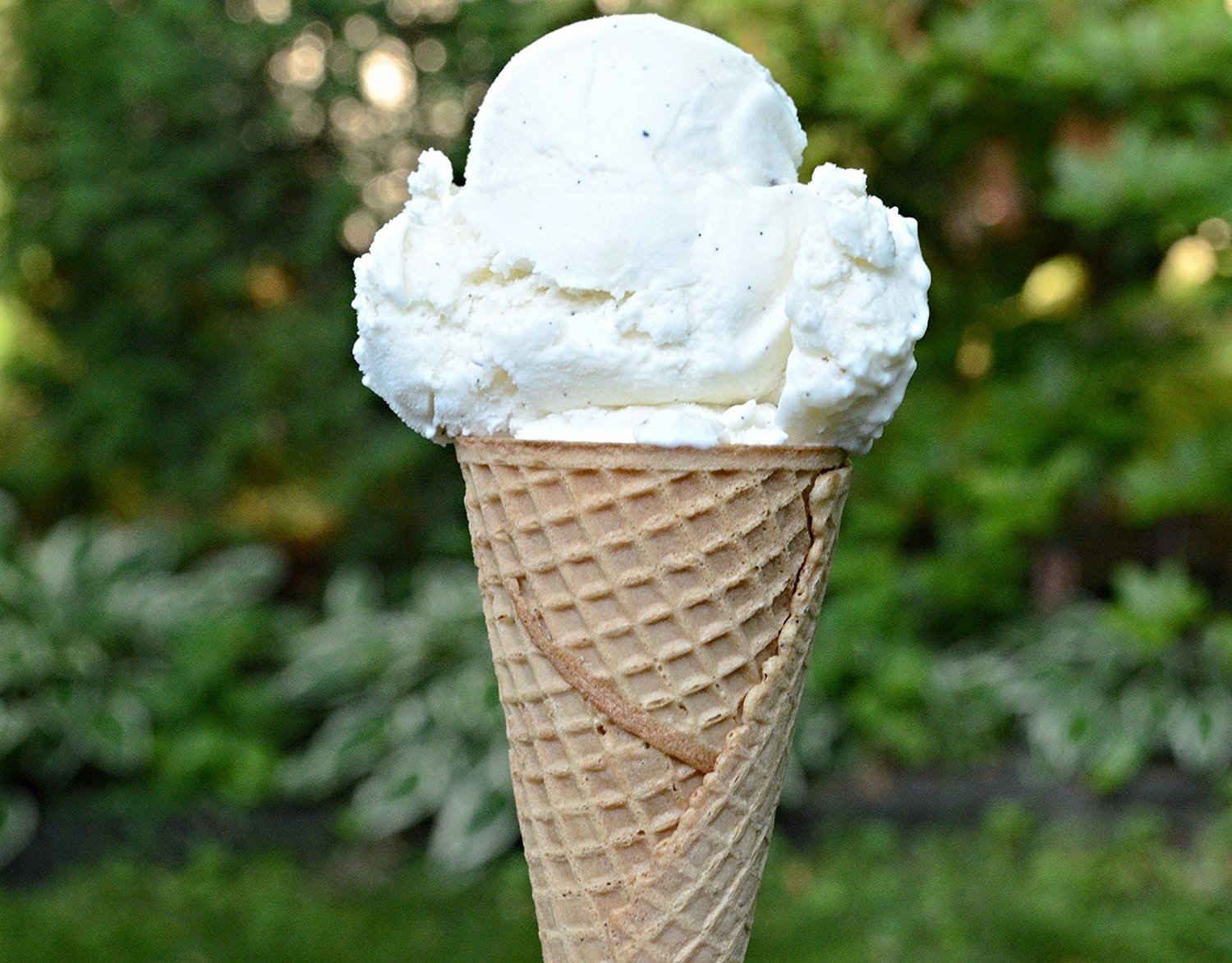 Philadelphia-Style Vanilla Ice Cream — Unwritten Recipes
