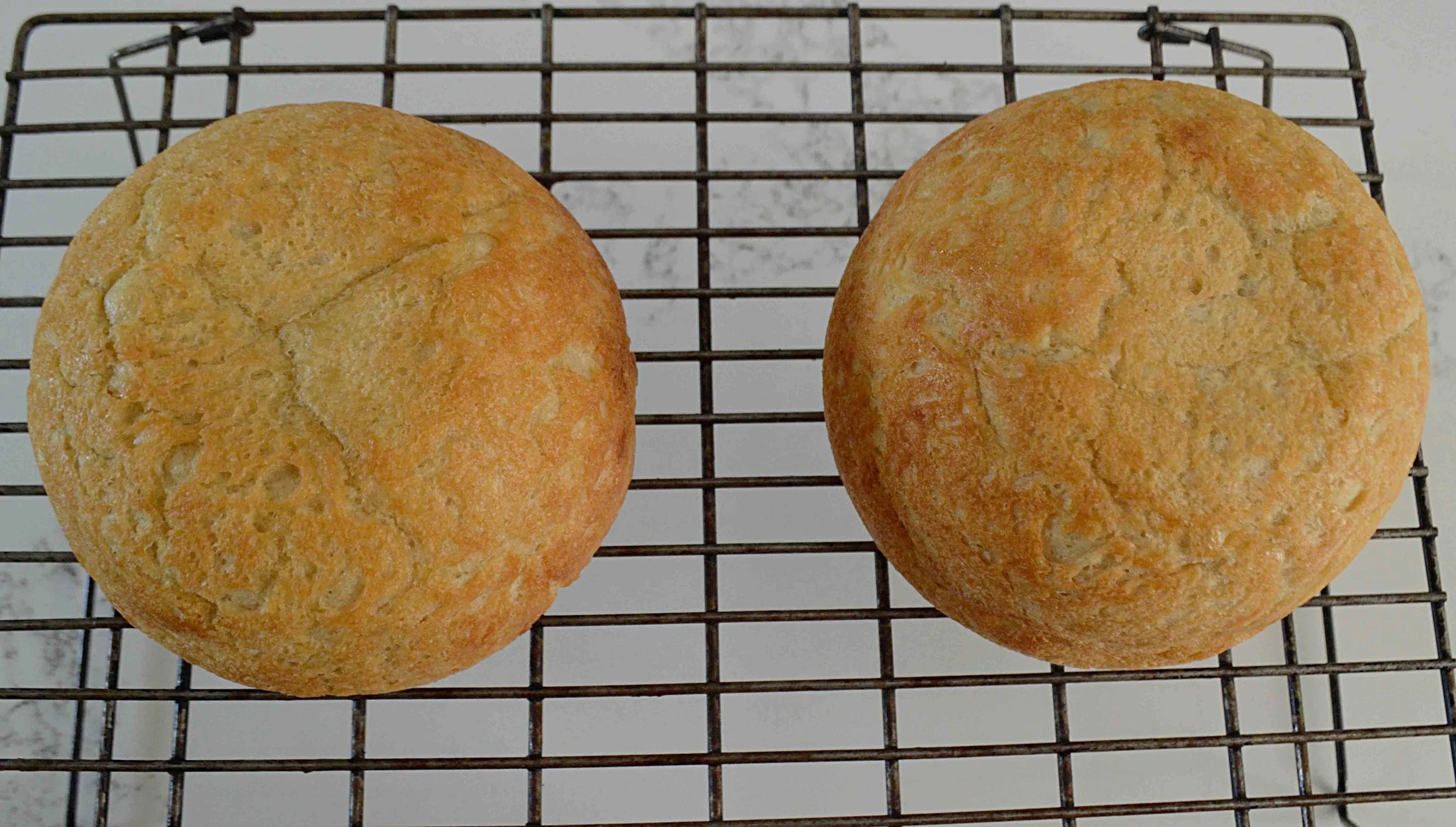 Bread Toast Crumbs' No-Knead Peasant Bread-Famous Fridays — Unwritten ...