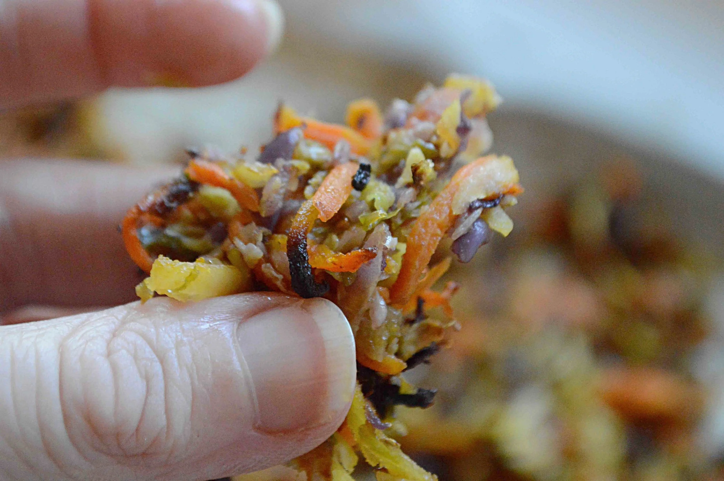Crispy Shredded Veggies — Unwritten Recipes
