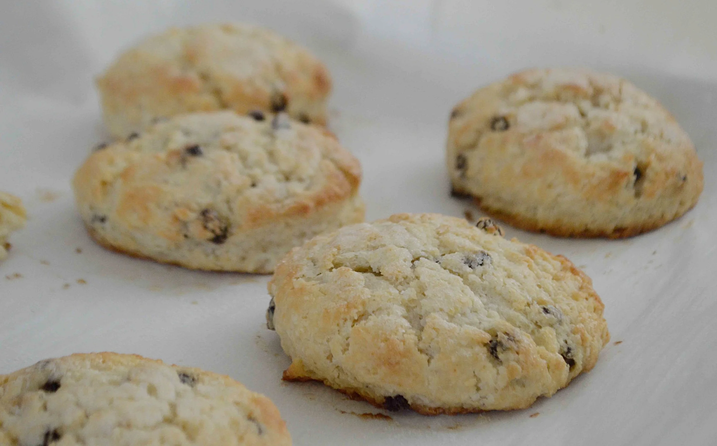 Tartine’s Lemon-Currant Buttermilk Scones-Famous Fridays — Unwritten ...