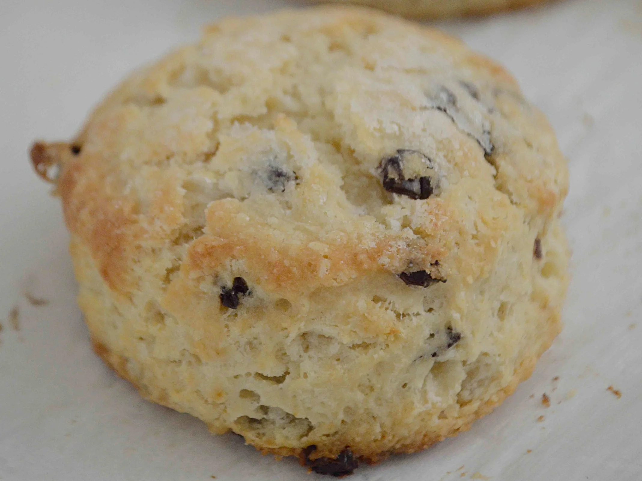 Tartine’s Lemon-Currant Buttermilk Scones-Famous Fridays — Unwritten ...