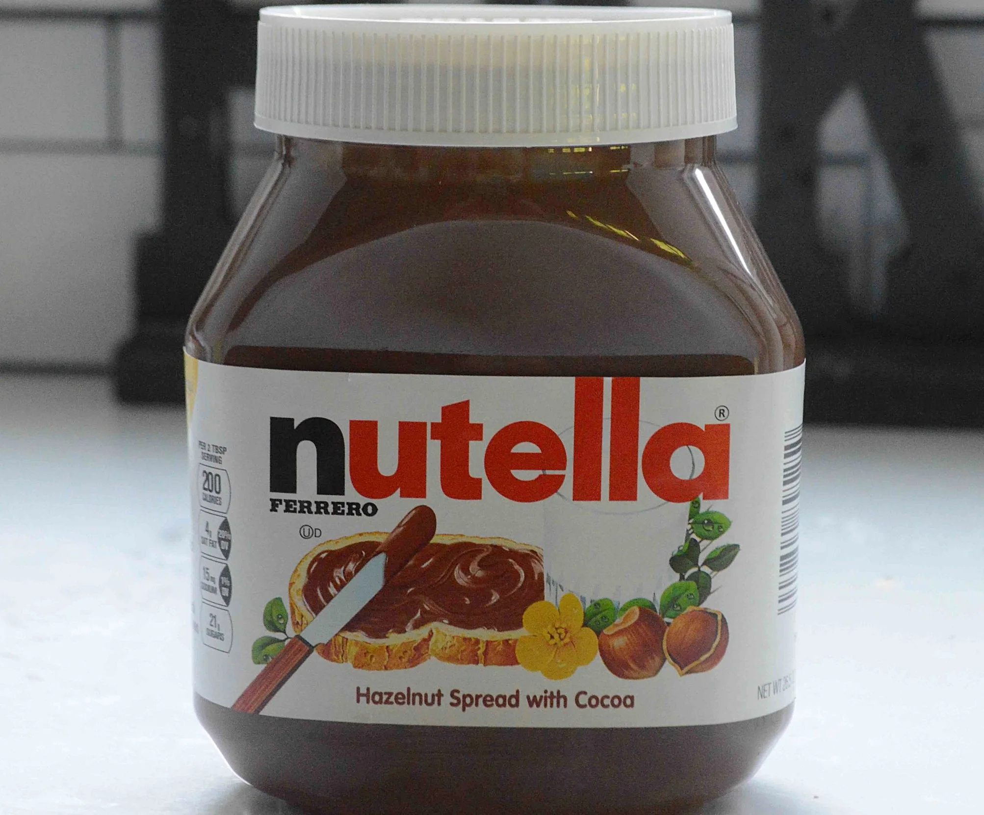 Nutella Challah — Unwritten Recipes