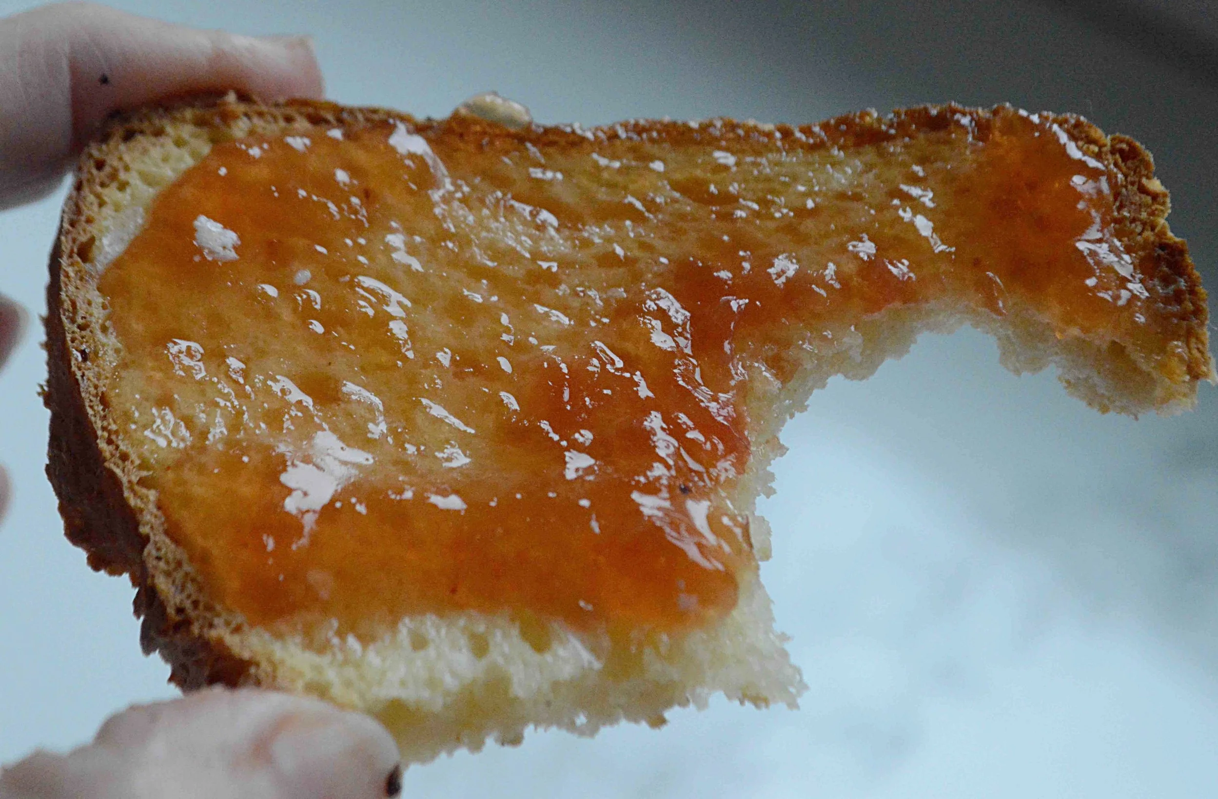 Autumn Jam (Apples, Pears & Plums) — Unwritten Recipes