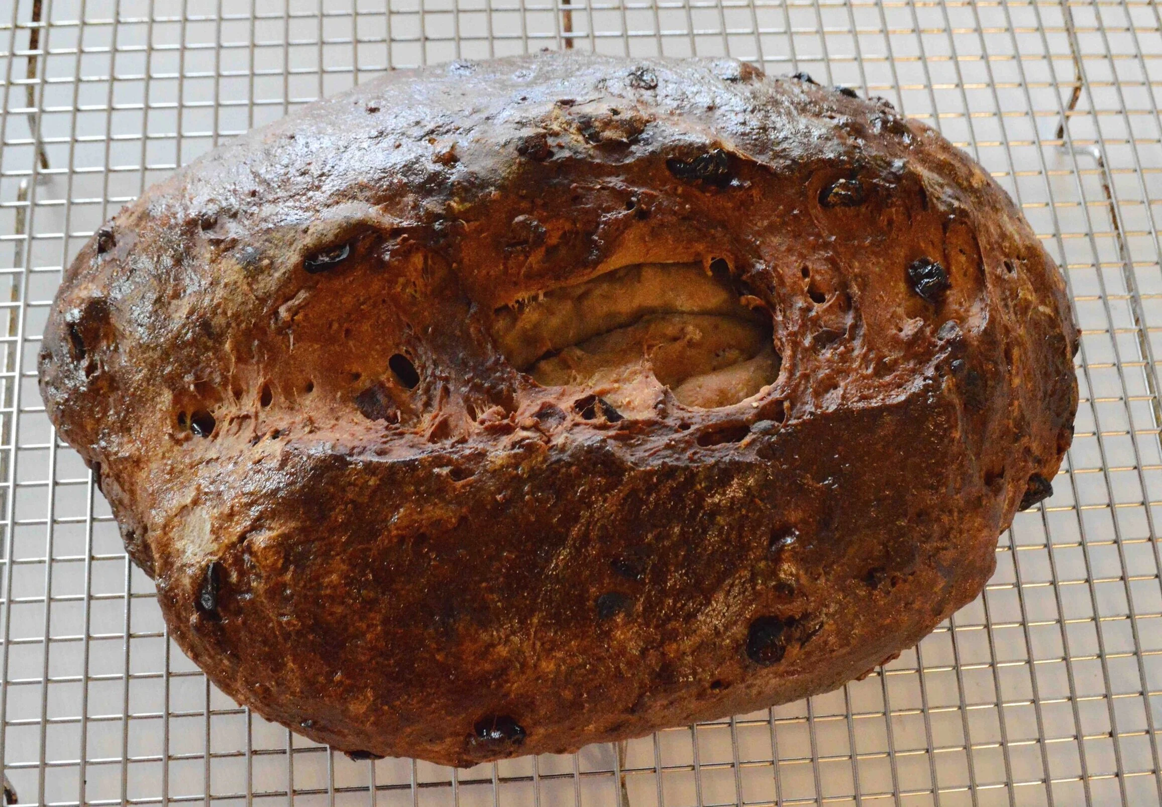 Rustic Cranberry Walnut Bread — Unwritten Recipes