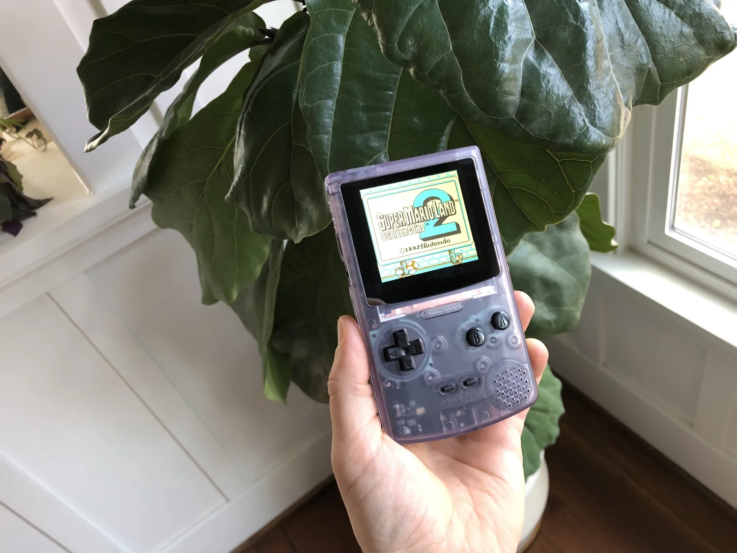 FunnyPlaying FPGA GameBoy Color assembly & review — Kelleher Bros.