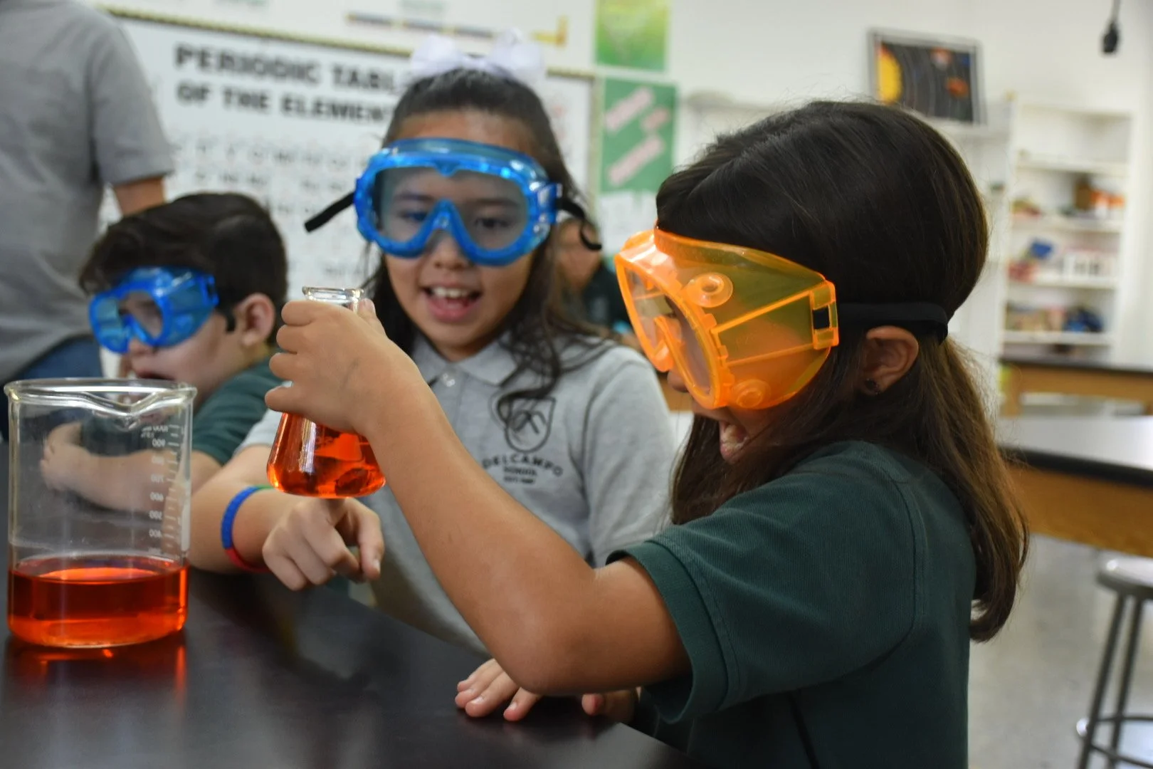 DelCampo School — option 2