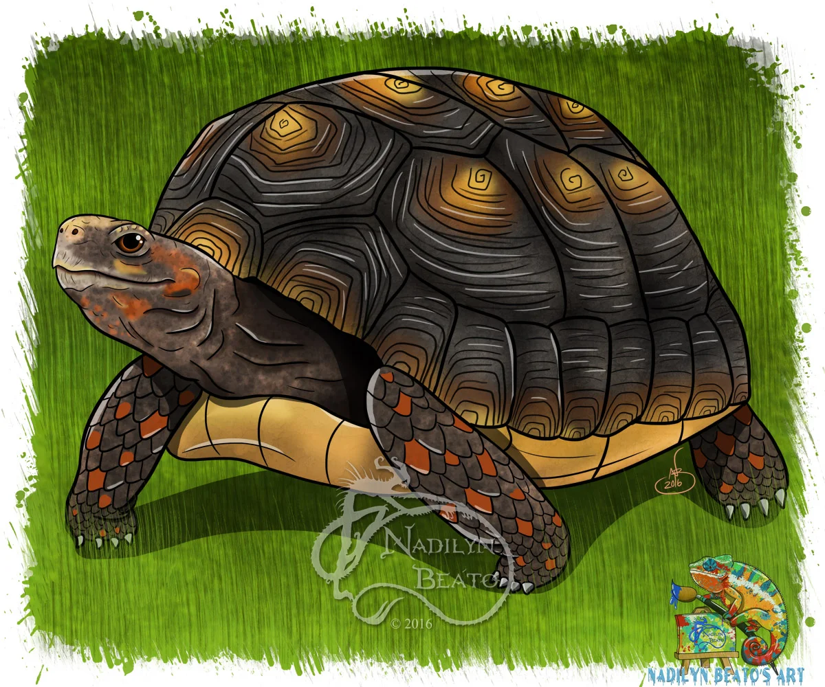 Nadilyn Beato's Art