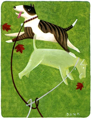 Sarah Dunk Illustrations