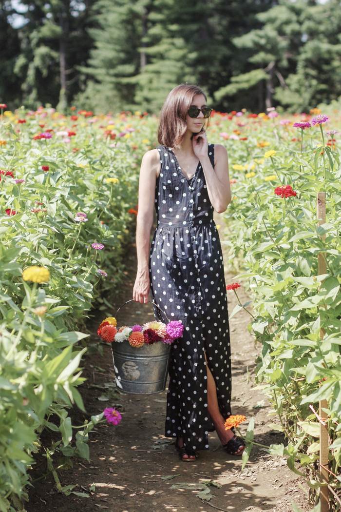 snapshots : flowers and blueberries at Parlee Farms — HollyDolly