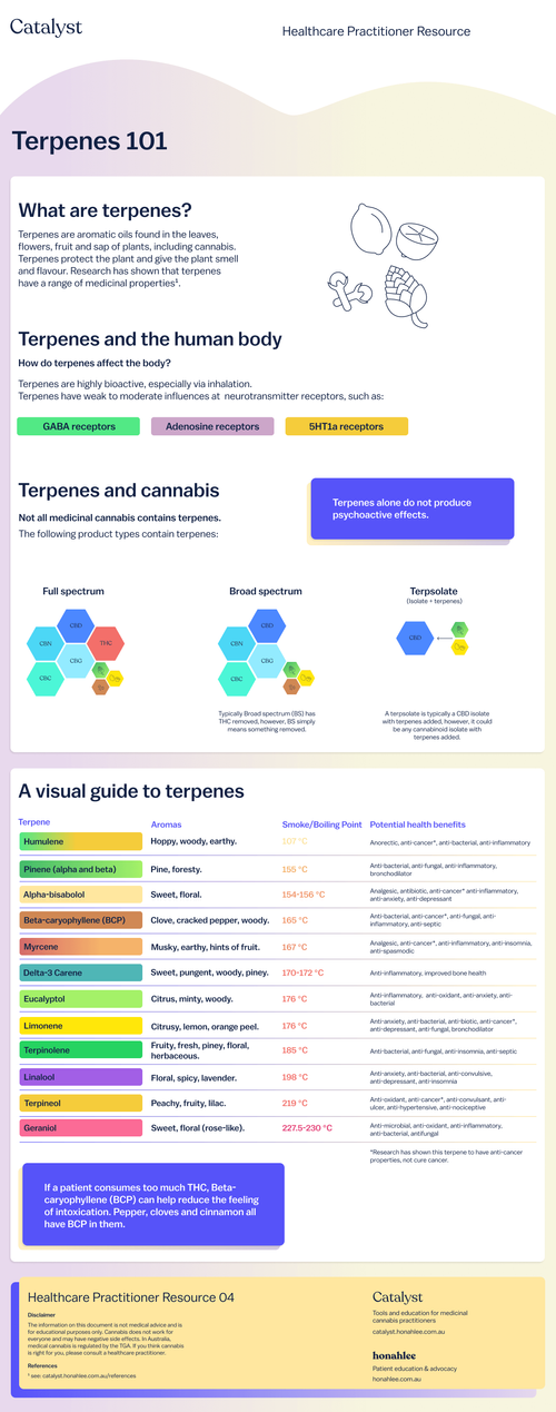Common Terpenes in Cannabis: Things Budtenders Should Know — JESS HEN