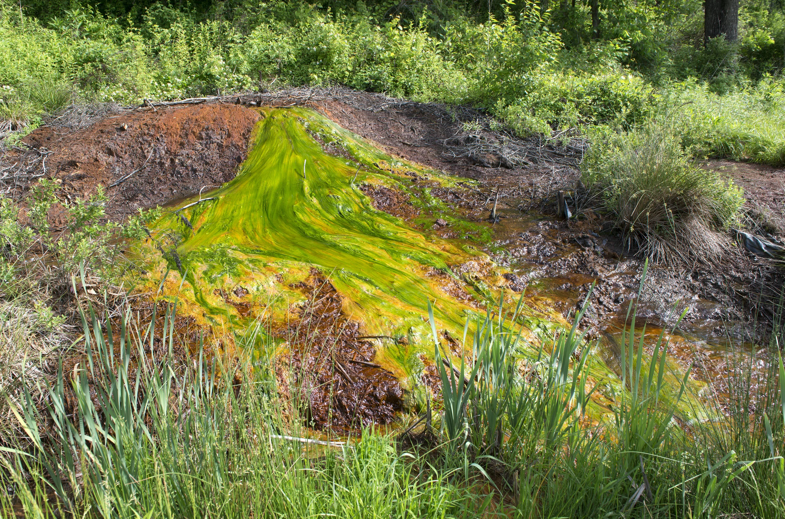 research — john sabraw