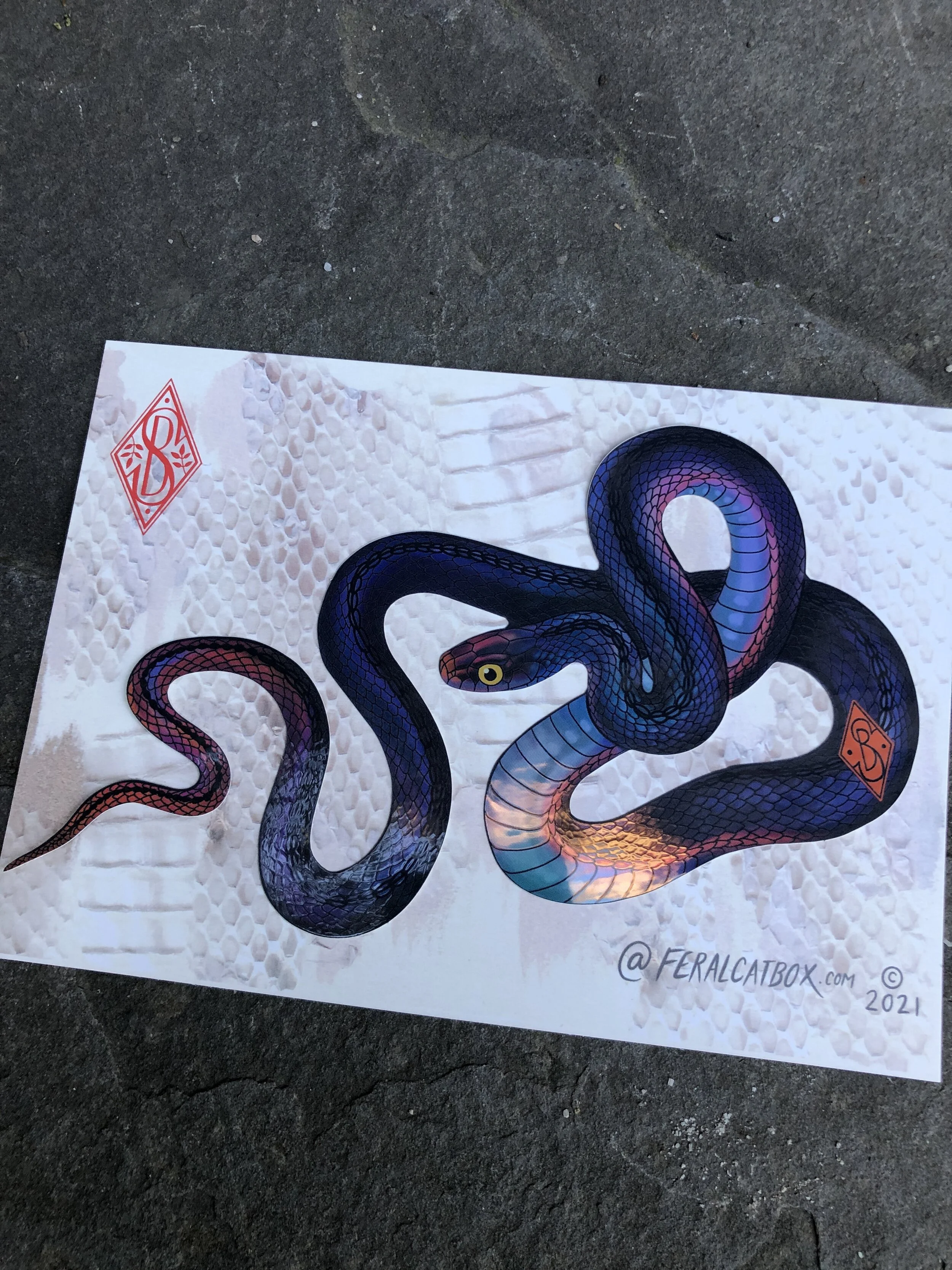 Black and White Magic - Holographic Snake Sticker Set — Feralcatbox