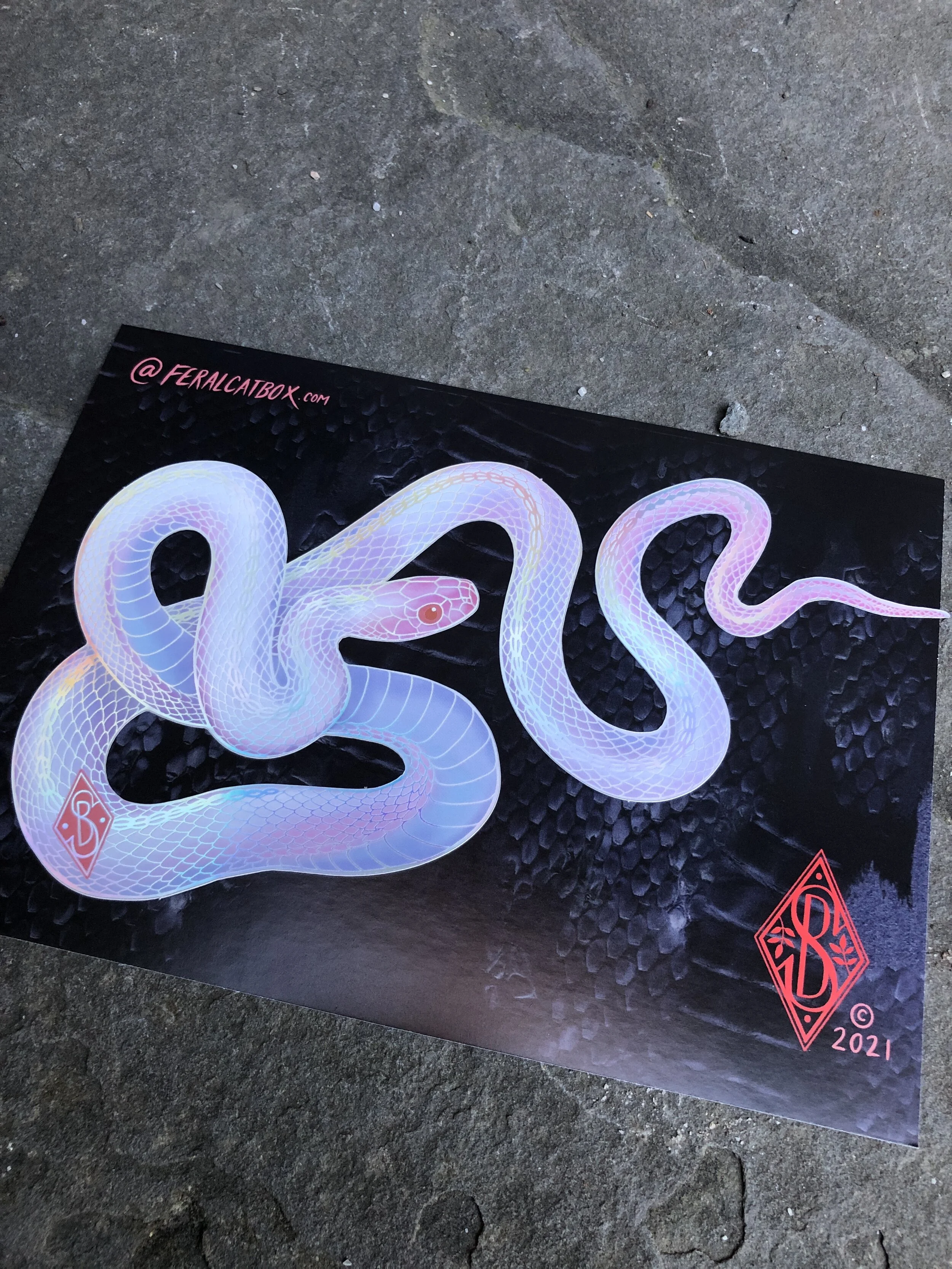 Black and White Magic - Holographic Snake Sticker Set — Feralcatbox