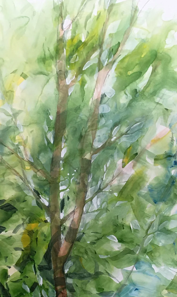 Ireland Watercolors | Large Scale Art Installations