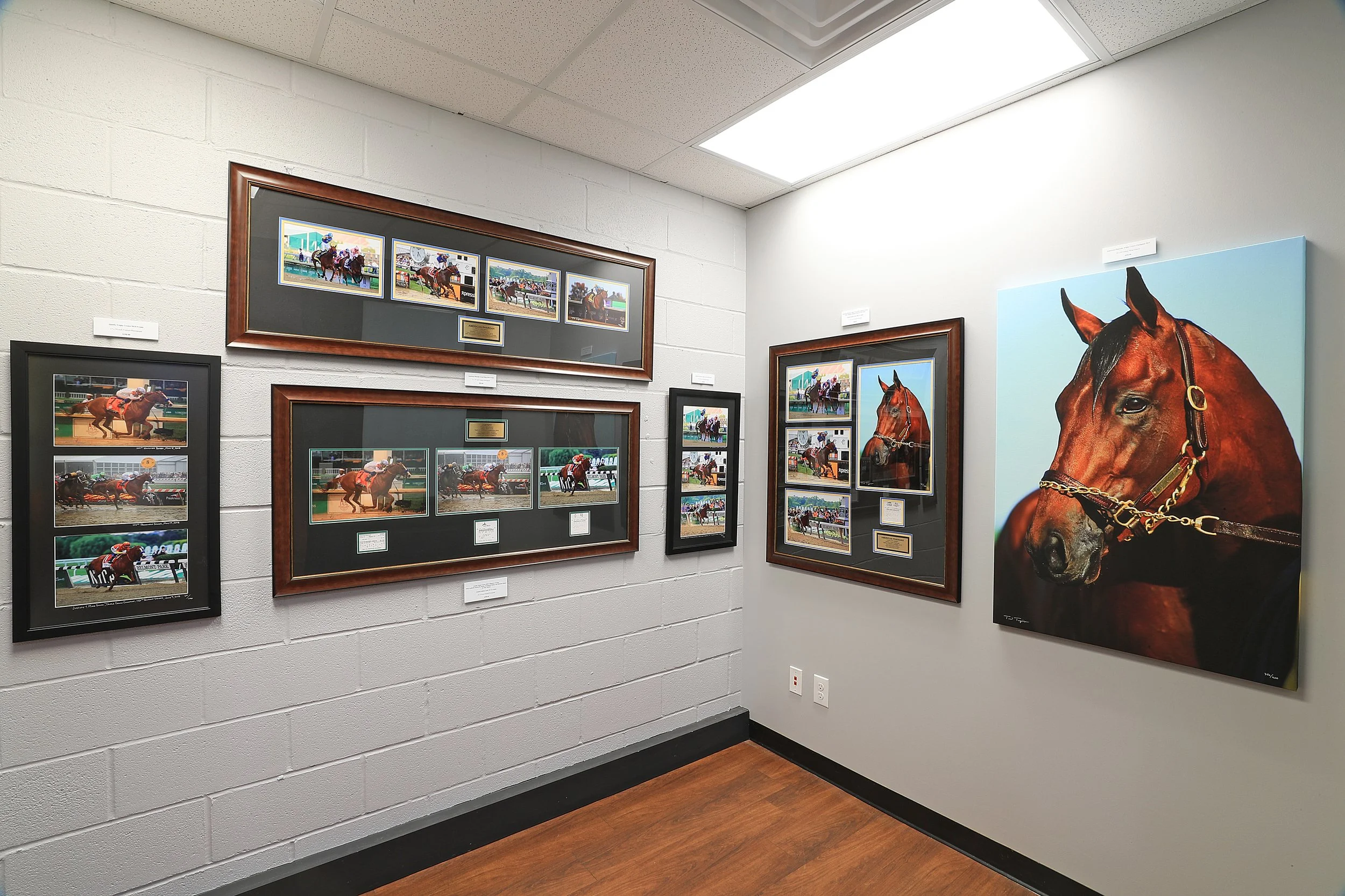 TLT Photography Gallery