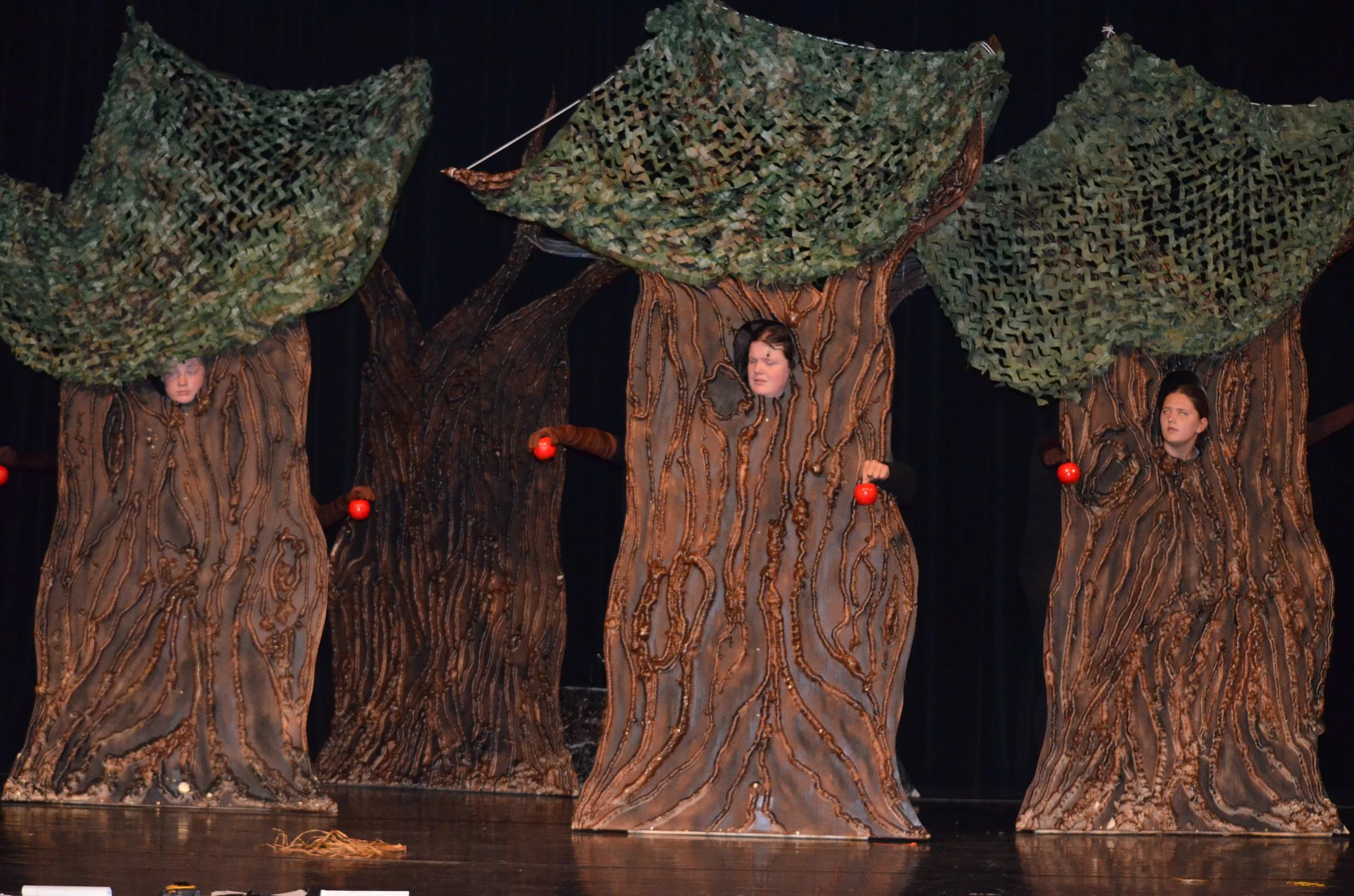 Summer Theater Intensive — Creative Arts Council of Wells County