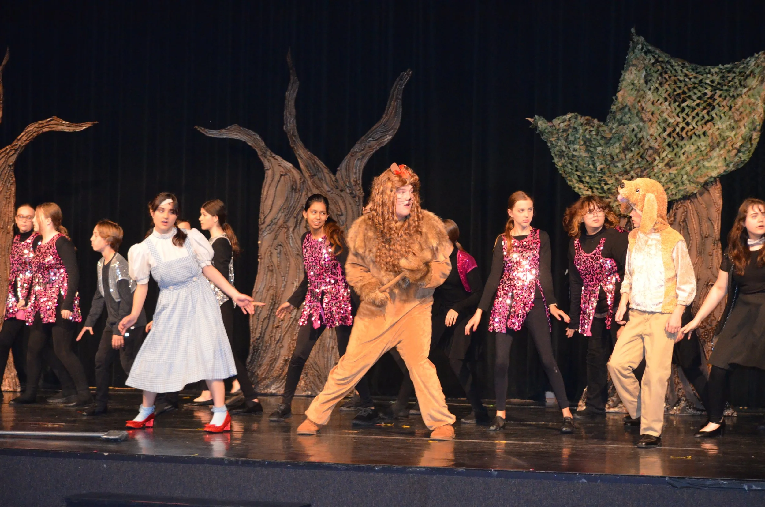 Summer Theater Intensive — Creative Arts Council of Wells County