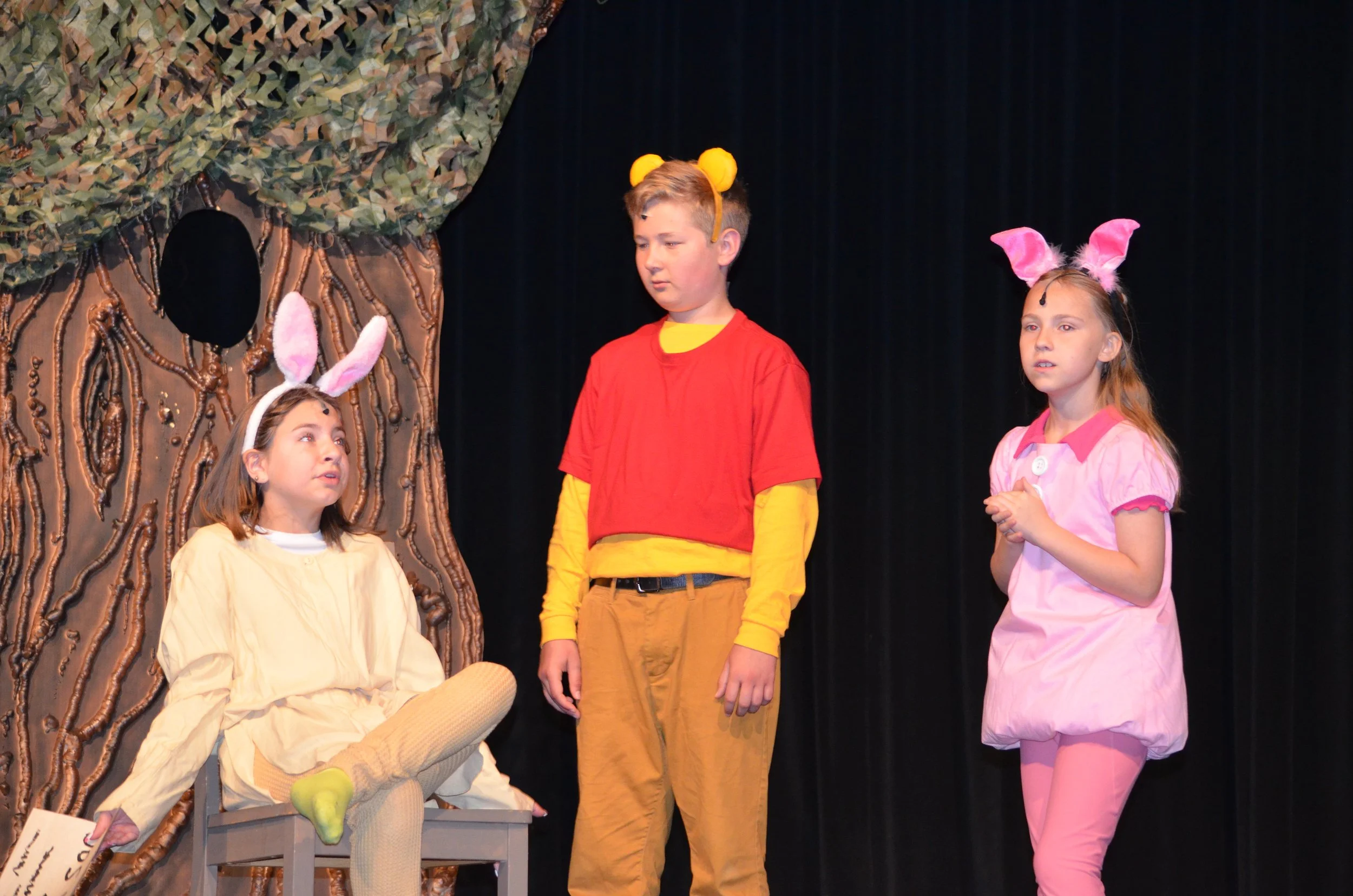 Summer Theater Intensive — Creative Arts Council of Wells County