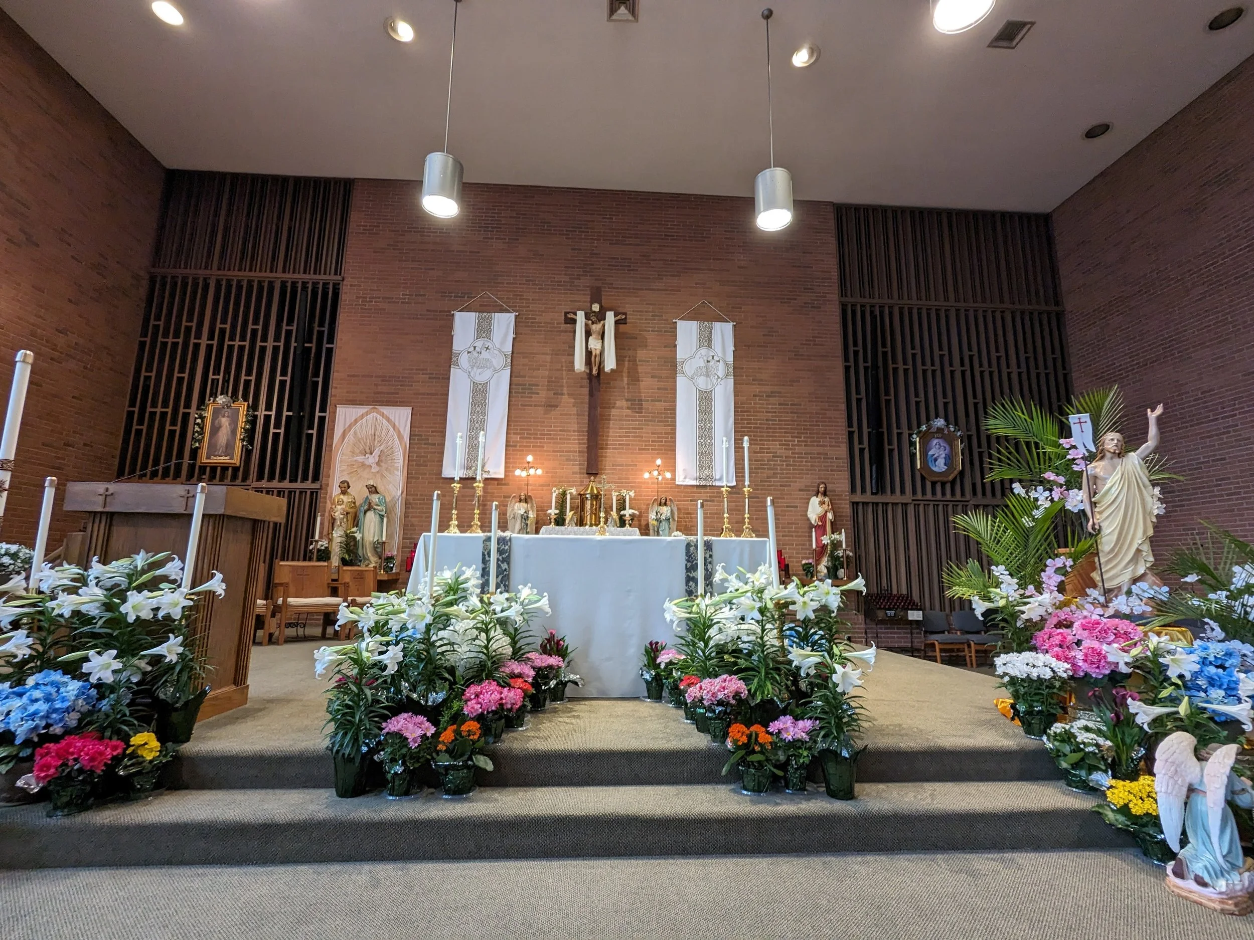 Church of The Transfiguration Catholic Church