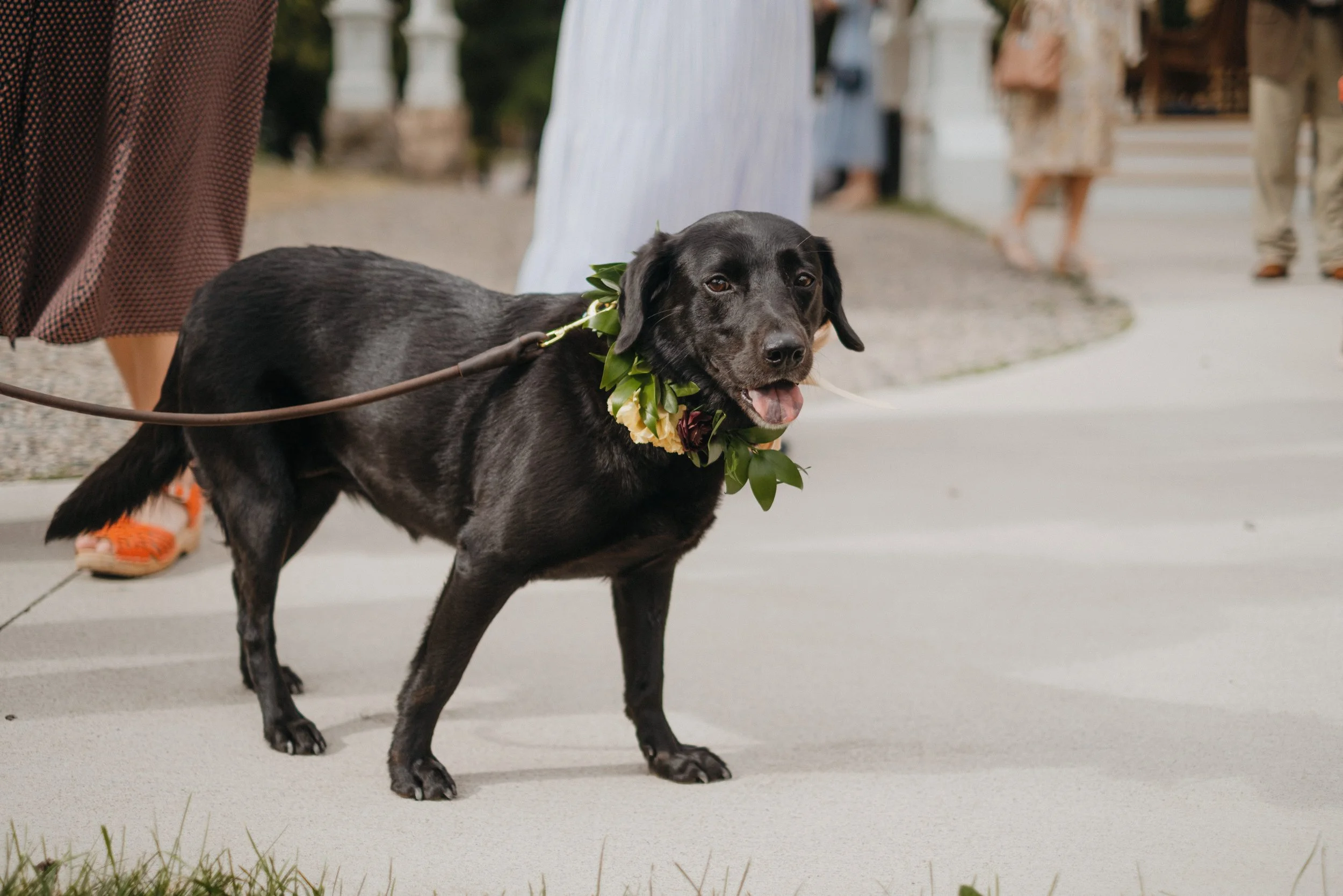 Charlotte + Danny — Saffron & Grey | Couture Floral Design | Duluth MN