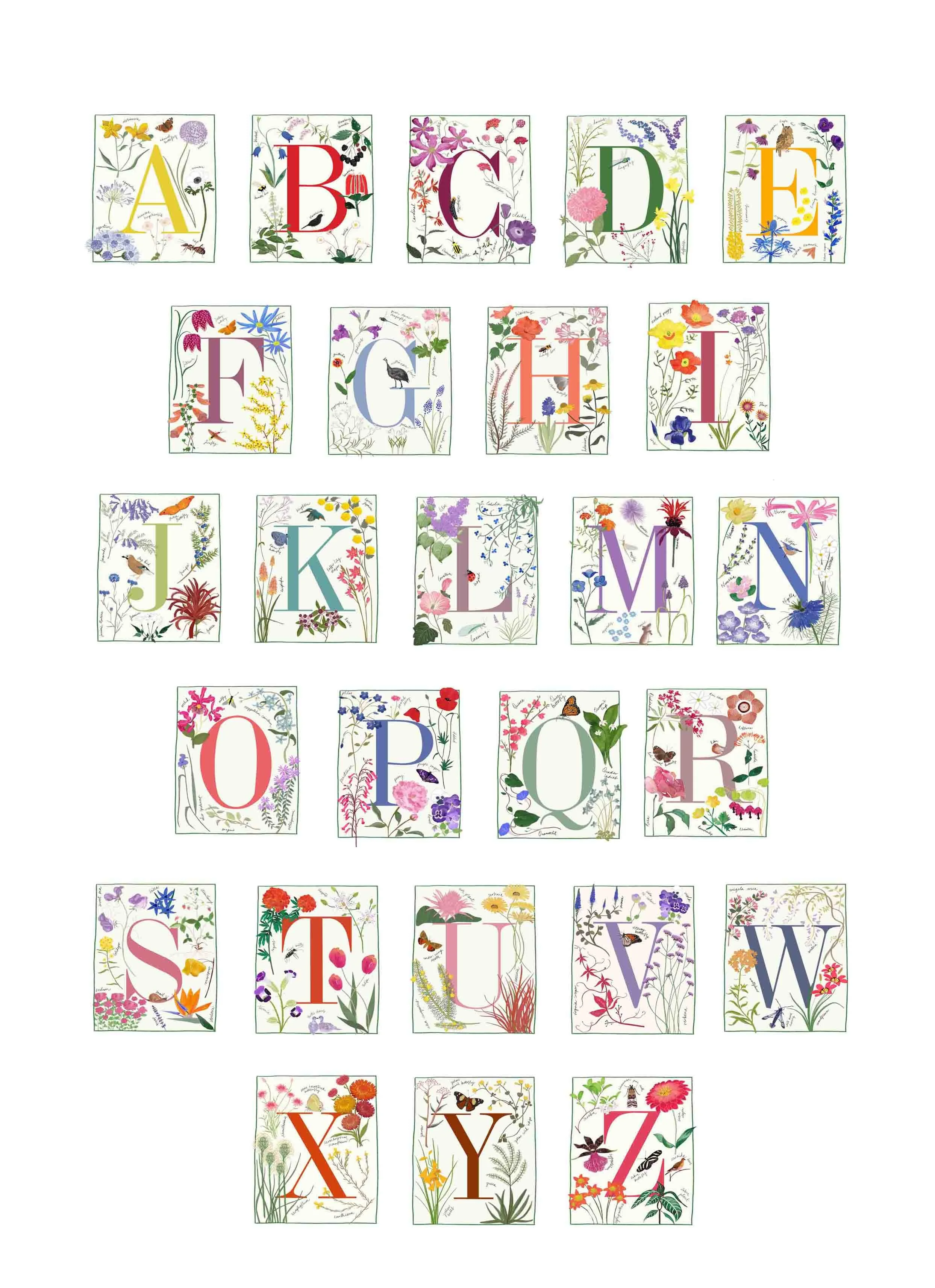 Sarah Smart Illustration