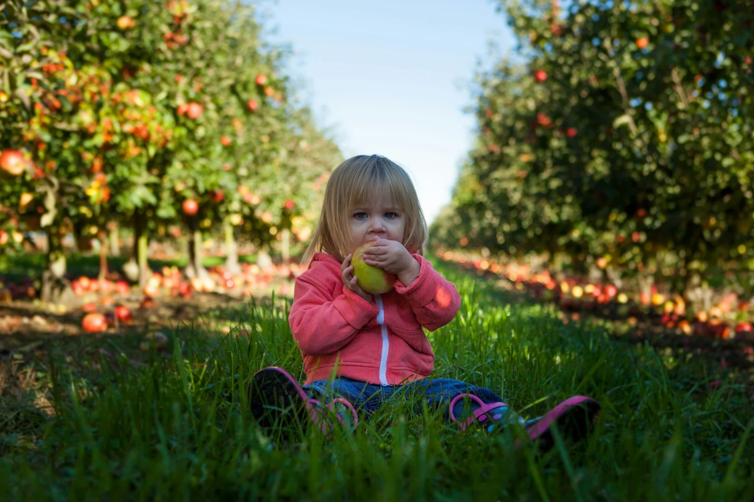 Blog — Simple Nutrition