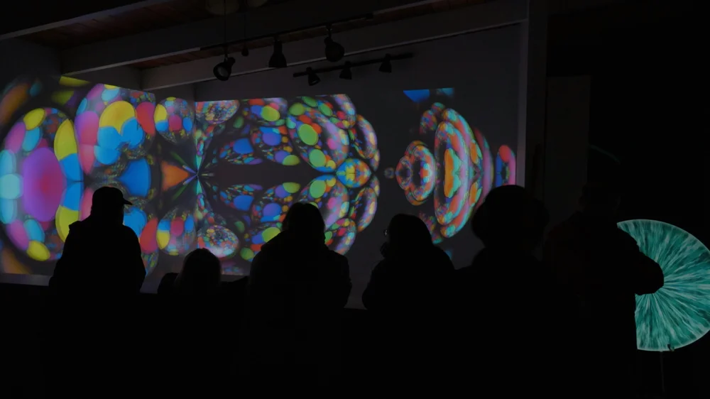 Projection — silent gallery films