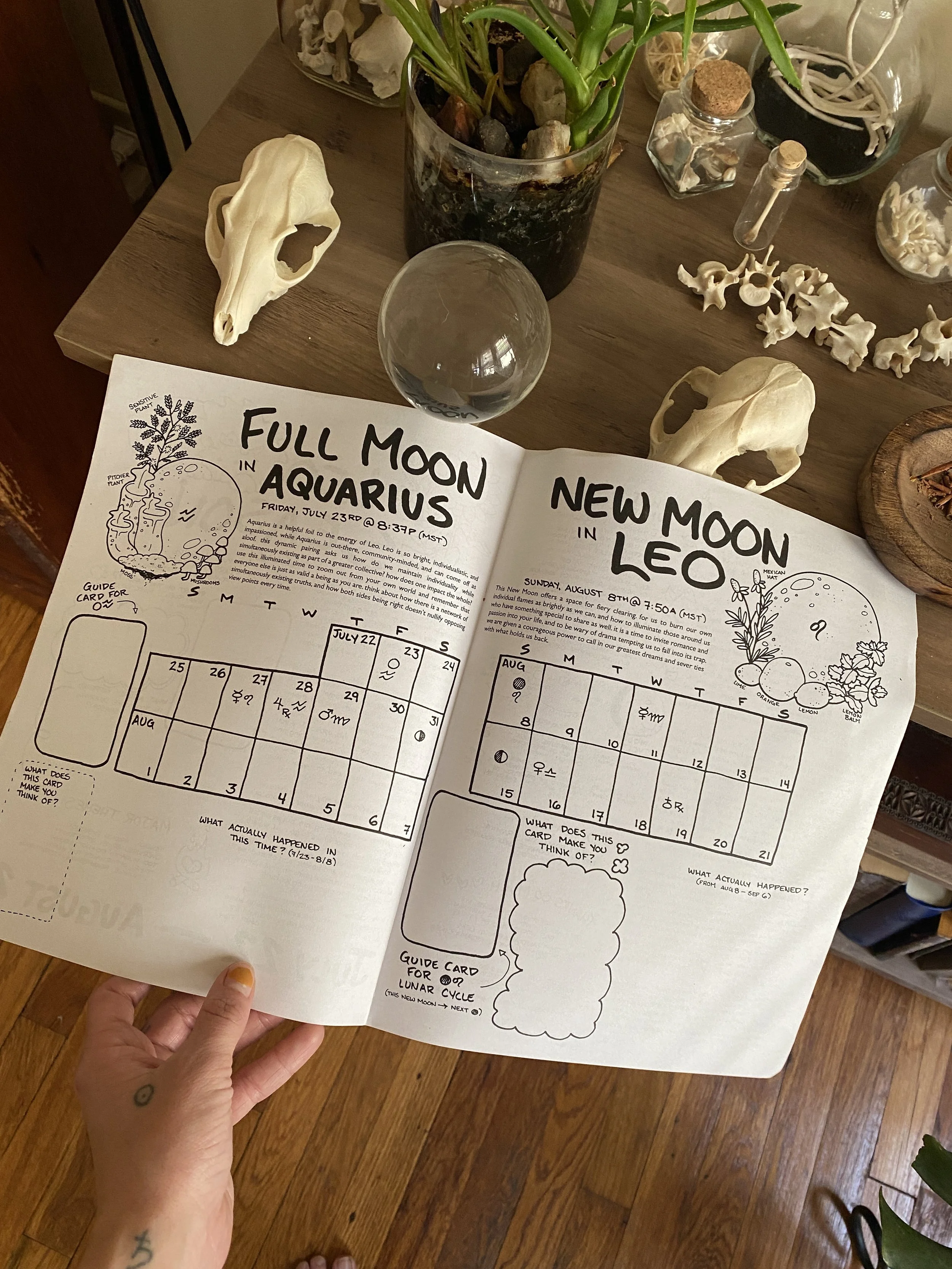 Astrology Newsletter — Heather Enders