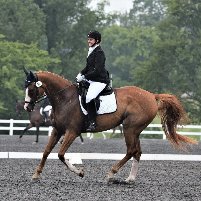 Services — Allison Spivey Dressage