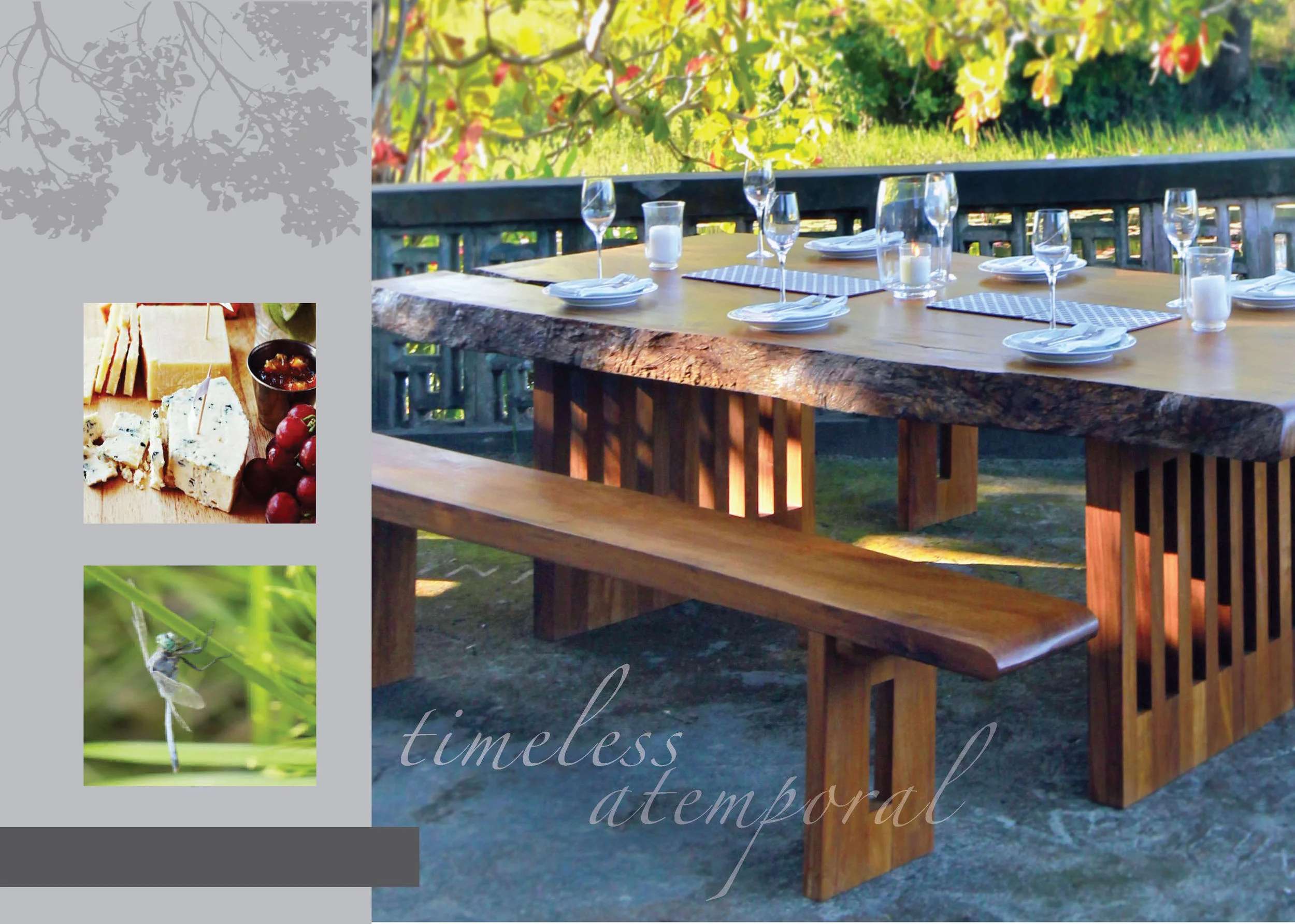 Home Old — TCT Dalmann