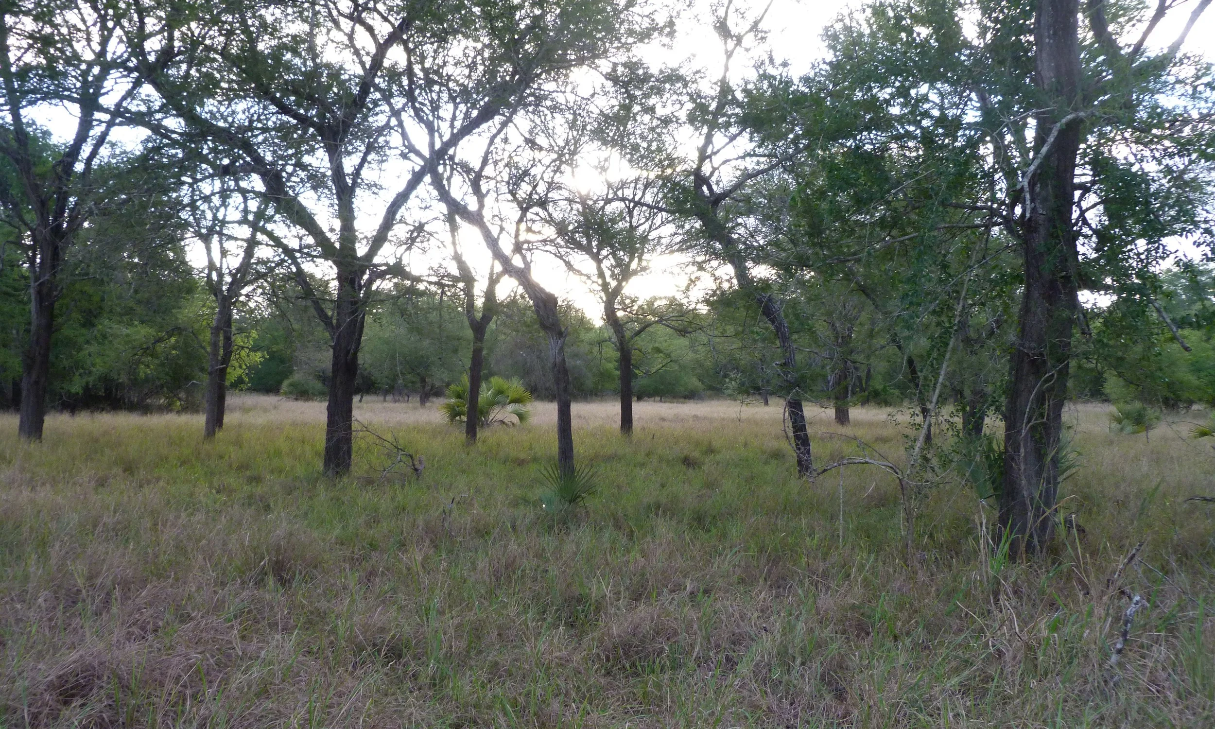 Sobre - About — TCT Dalmann