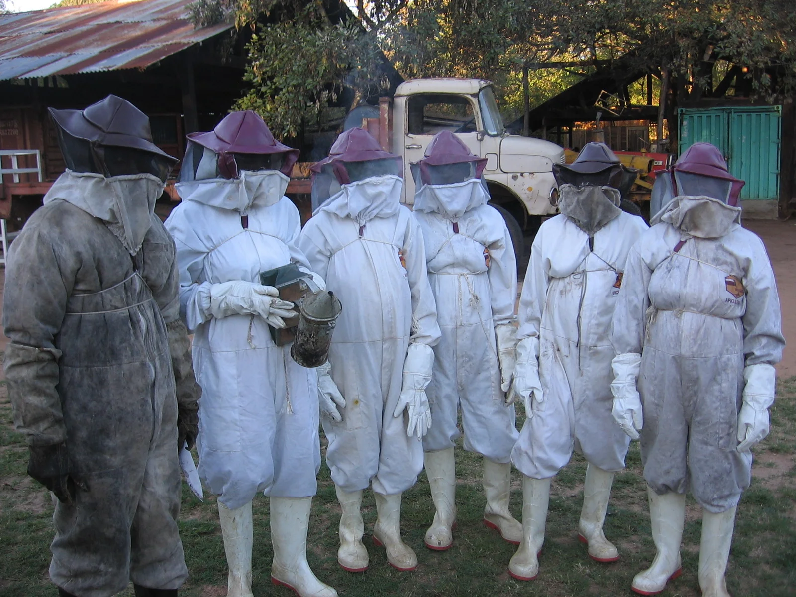 Apiculture training — TCT Dalmann