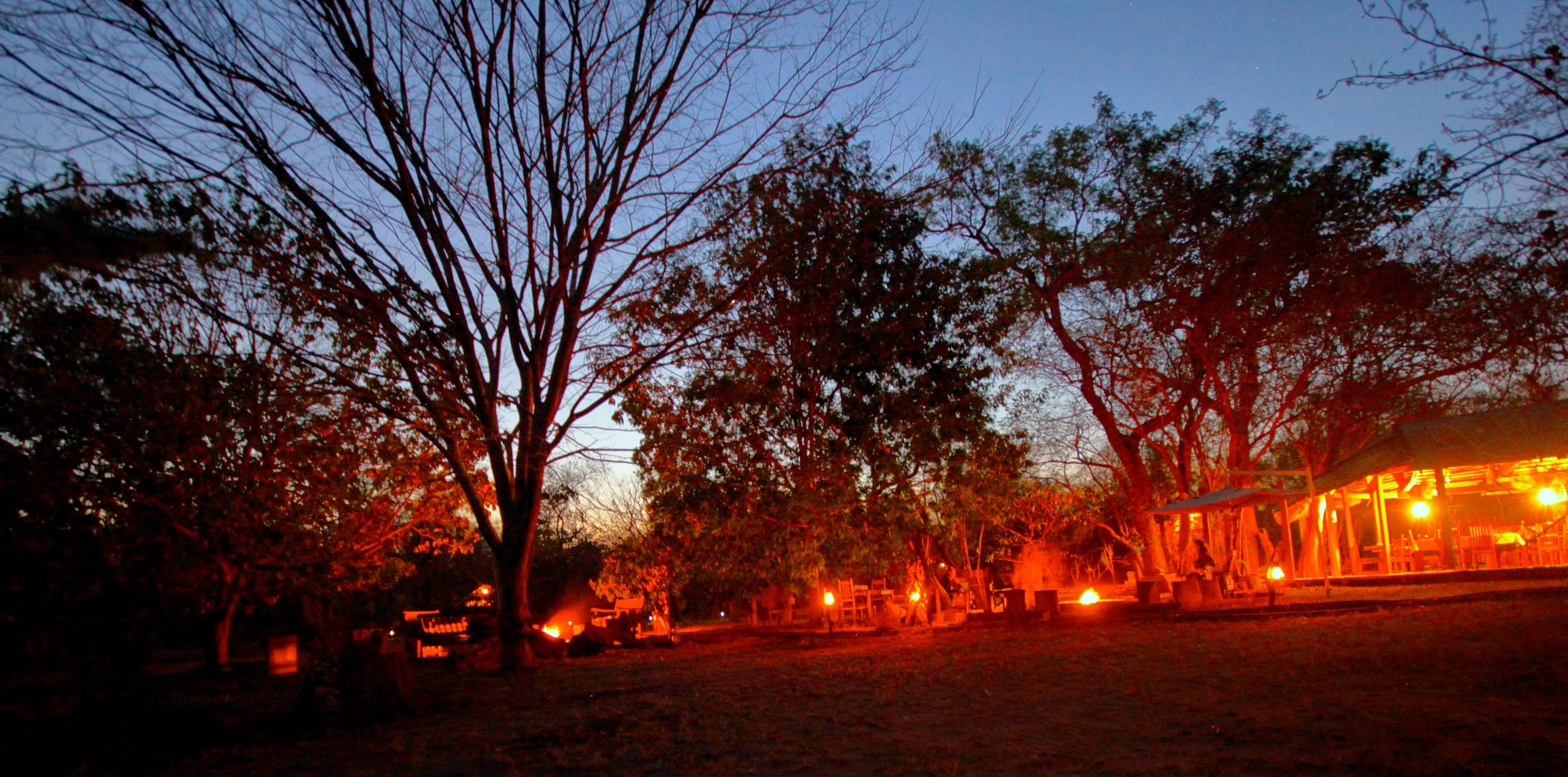 Training — TCT Dalmann