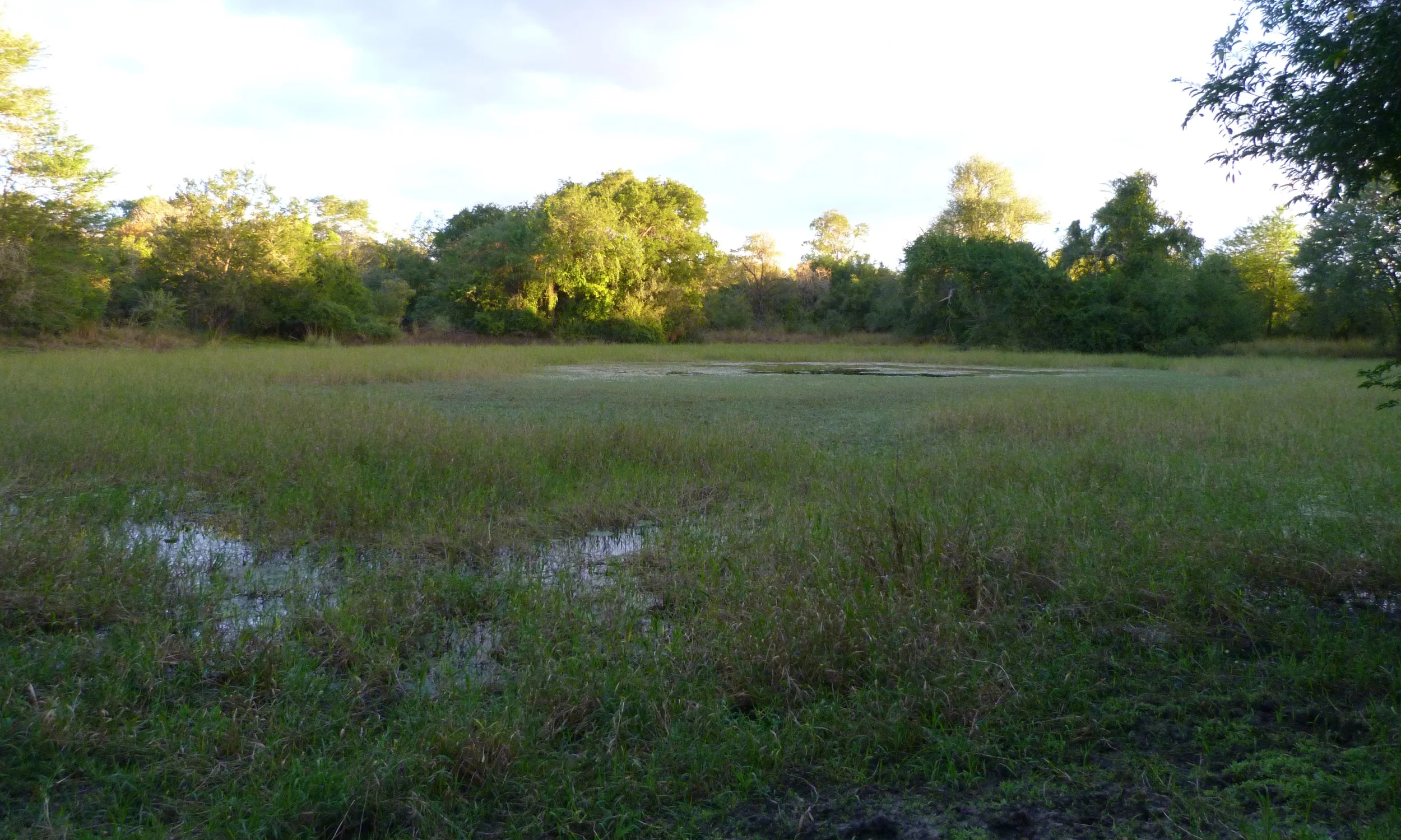 Timber — TCT Dalmann