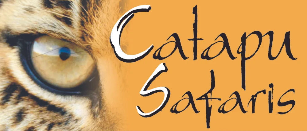 Catapu Safaris — TCT Dalmann