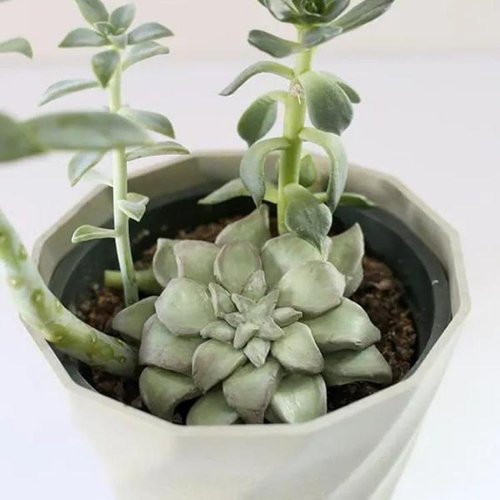 Air Dry Clay Ideas — Gathering Beauty