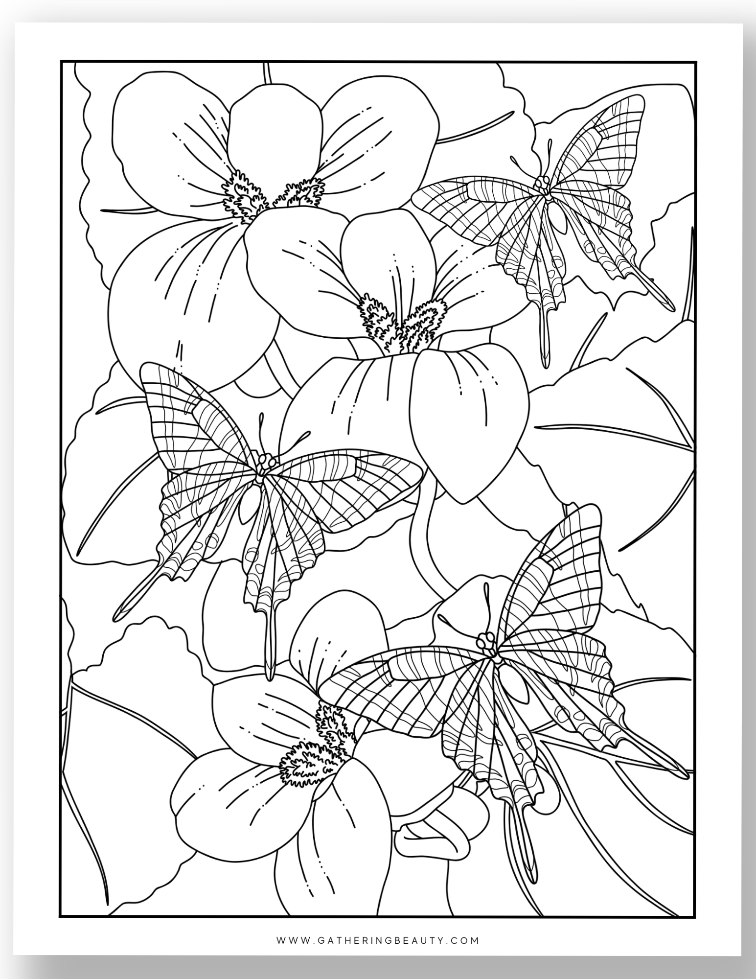 Butterfly And Flowers Colouring Pages - Free Printable — Gathering Beauty
