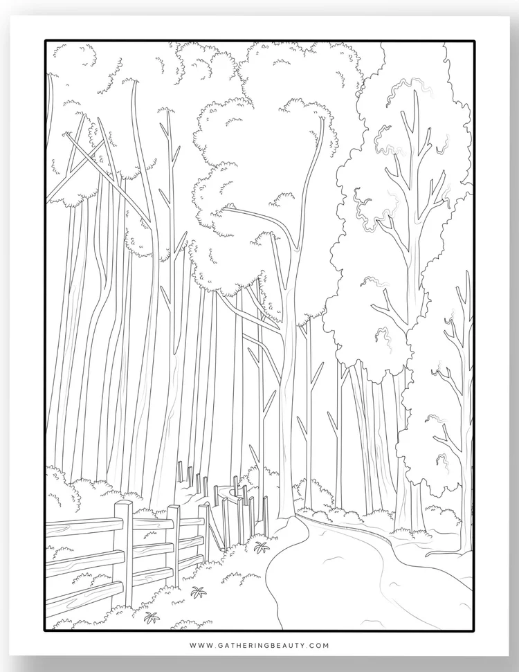 Forest Colouring Pages - Free Printable — Gathering Beauty