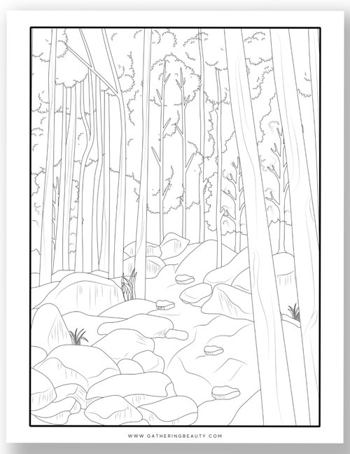 Forest Colouring Pages - Free Printable — Gathering Beauty
