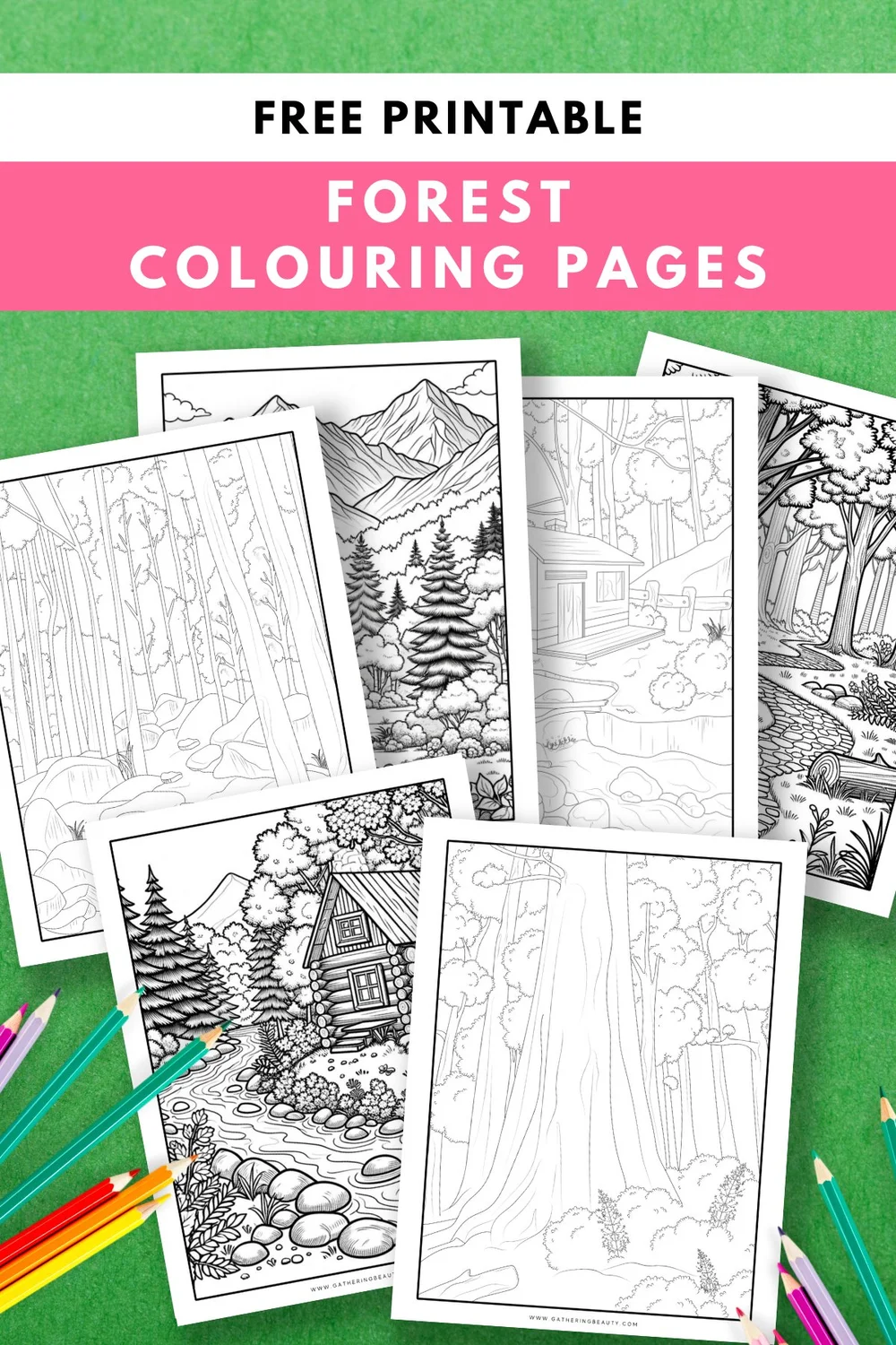 Forest Colouring Pages - Free Printable — Gathering Beauty