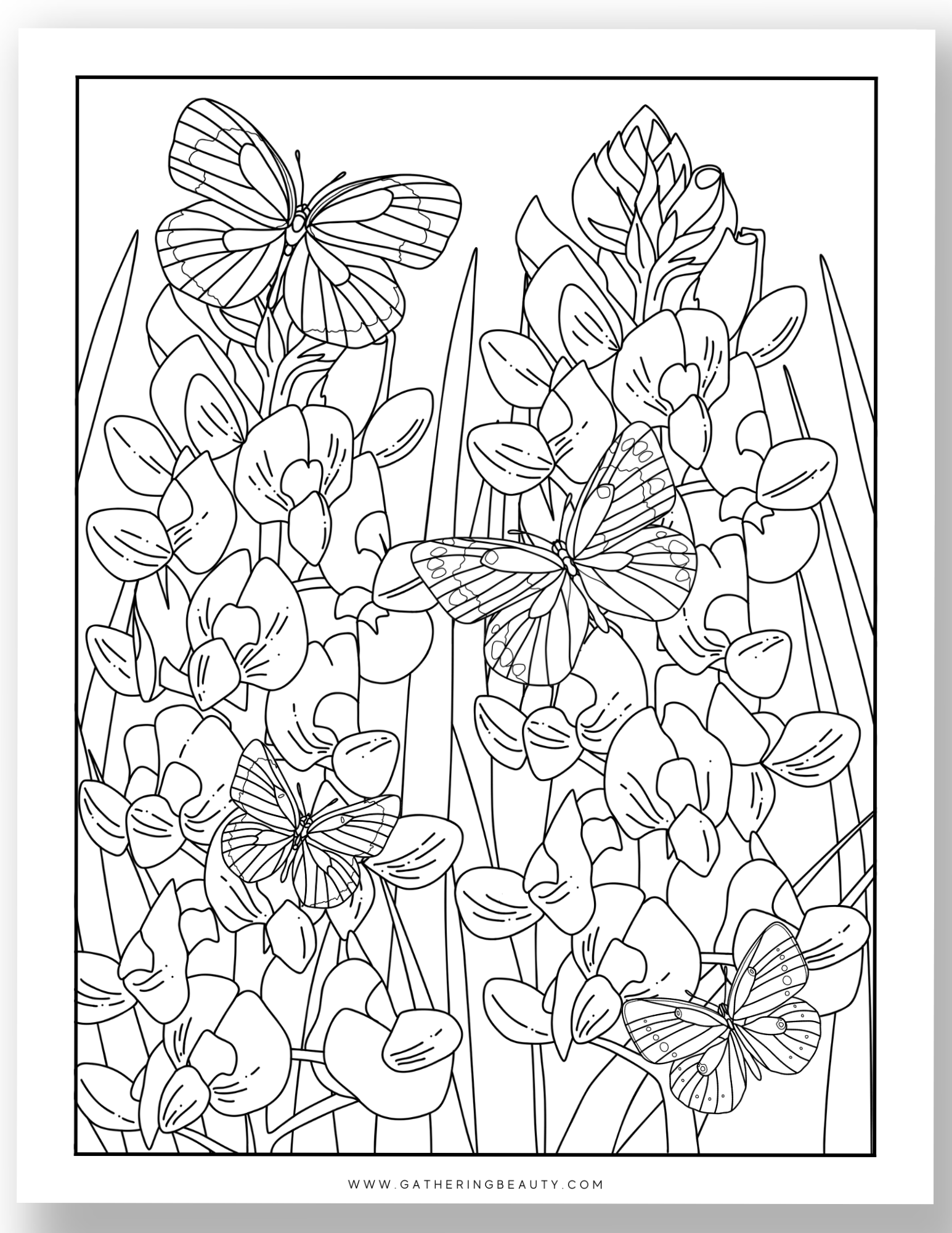 Butterfly And Flowers Colouring Pages - Free Printable — Gathering Beauty