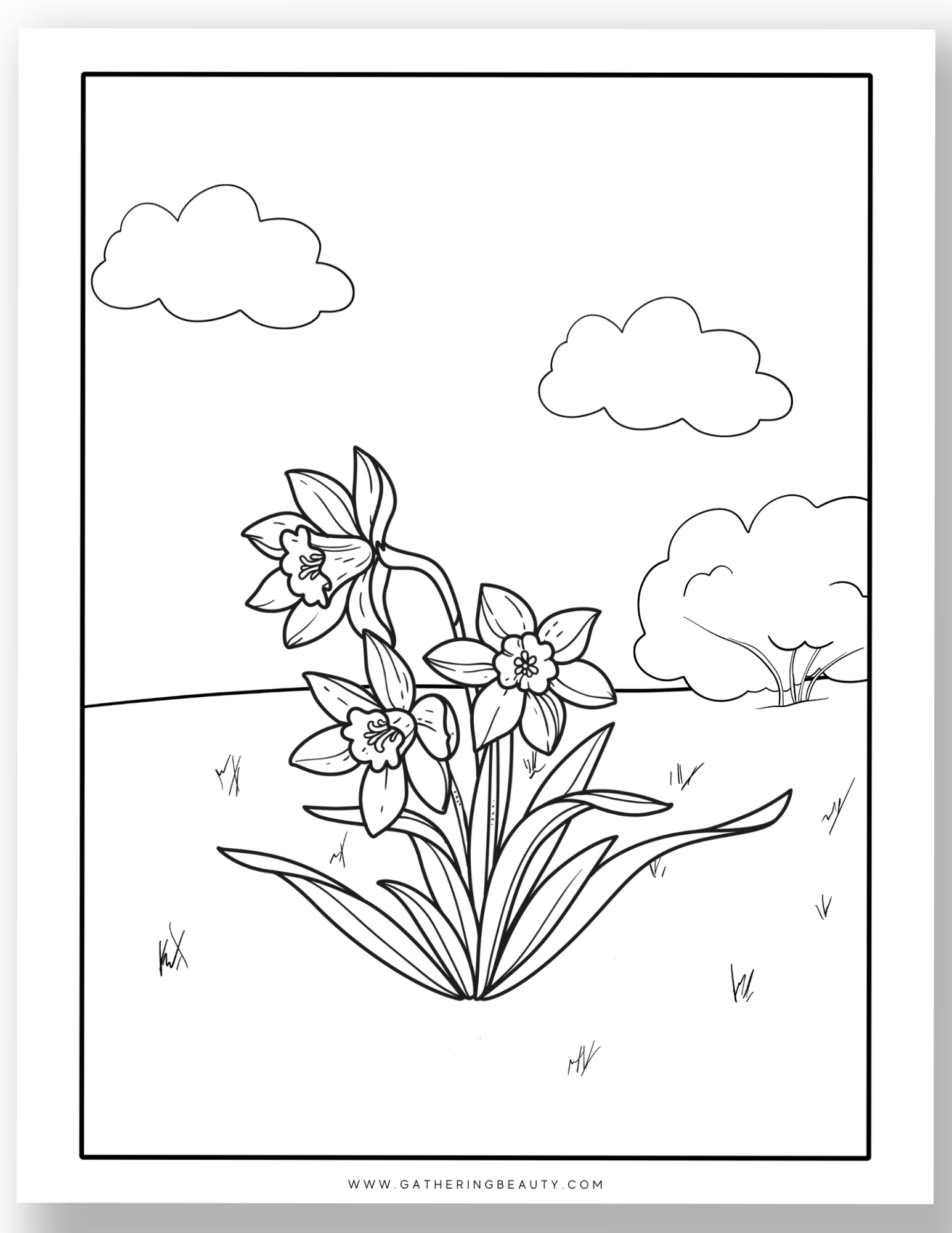Free Printable Spring Flower Colouring Pages — Gathering Beauty