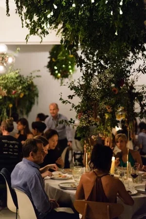 The Pollen Room — SOOK